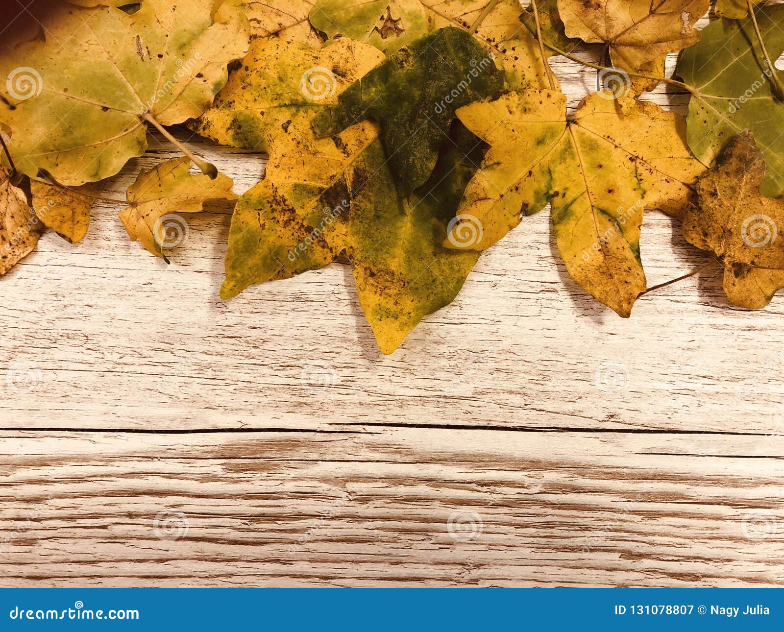 Leaves on Rustic Background. Stock Illustration - Illustration of ...