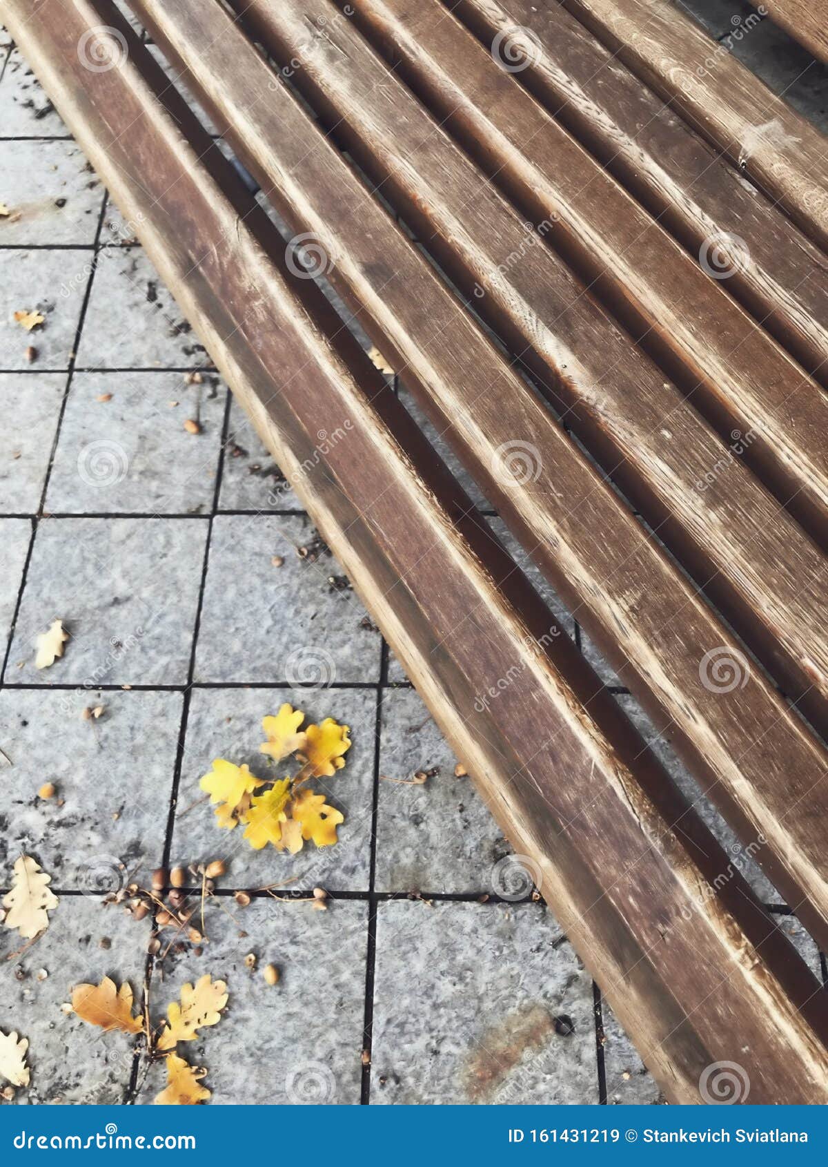 Autumn Concept - Park Bench and Fallen Leaves. Fallen Leaf Symbolizing ...