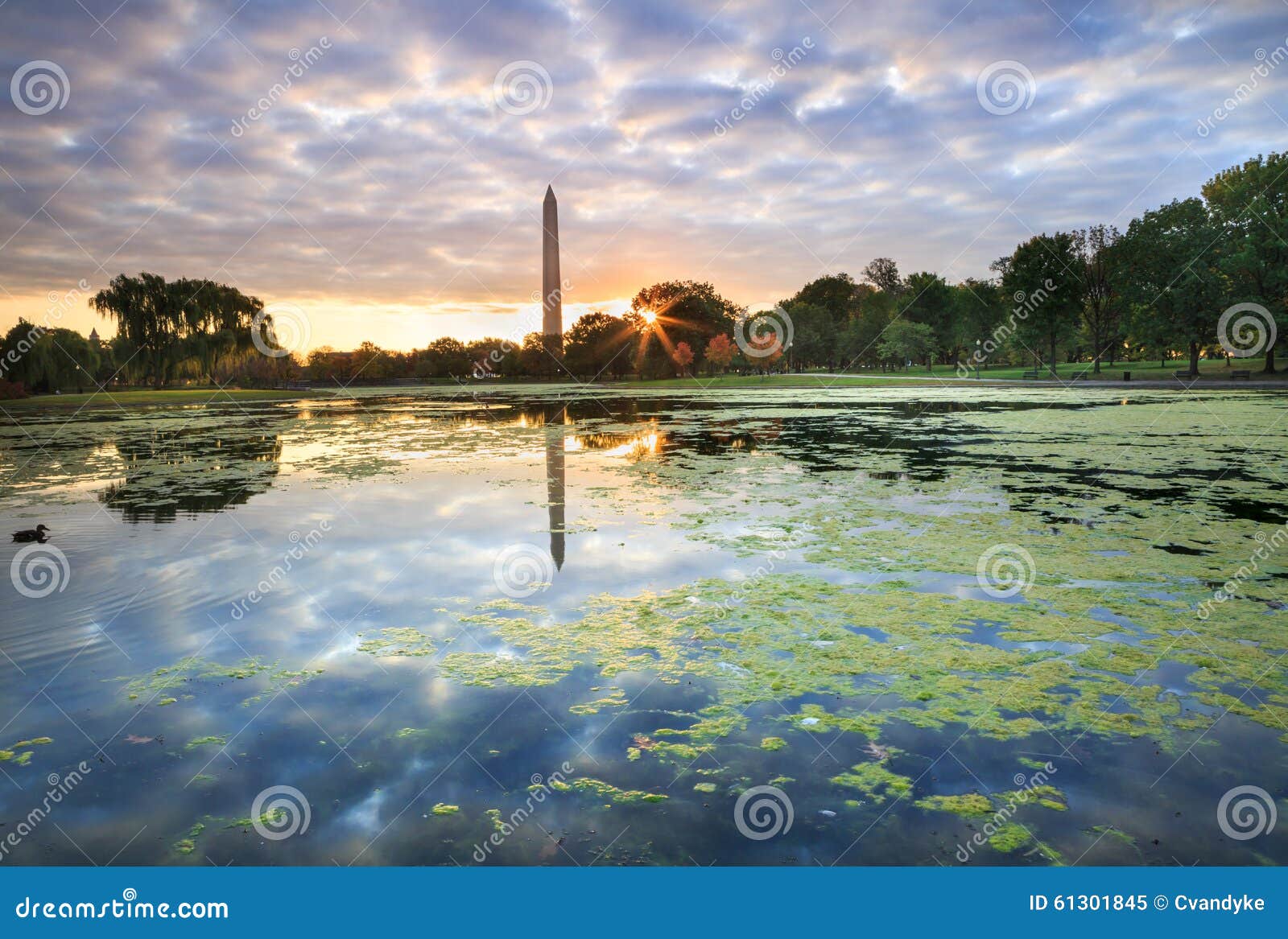 Washington Dc Monument Constitution Gardens Stock Photos - Free ...