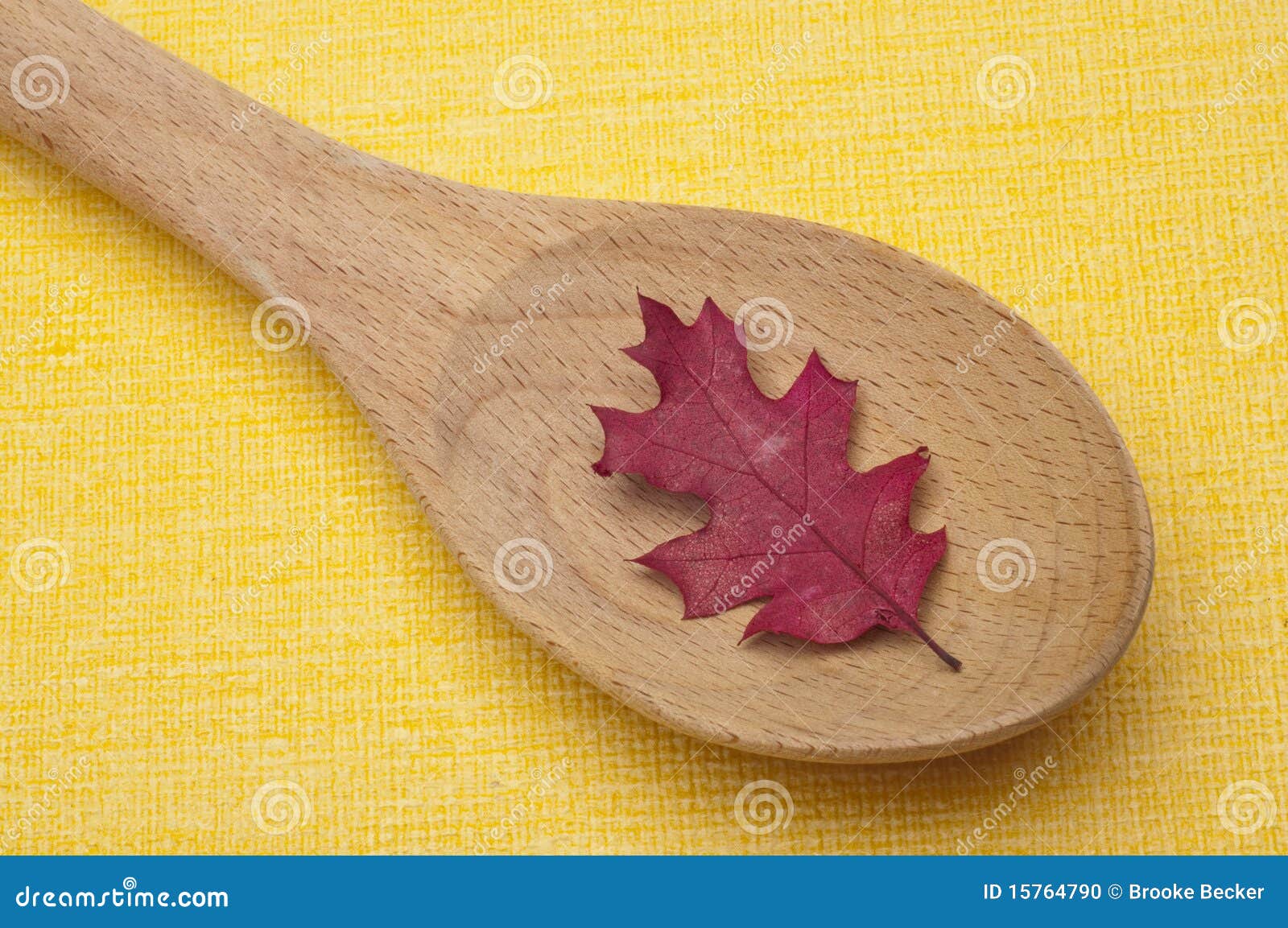 Autumn Cooking stock photo. Image of cooking, objects - 15764790