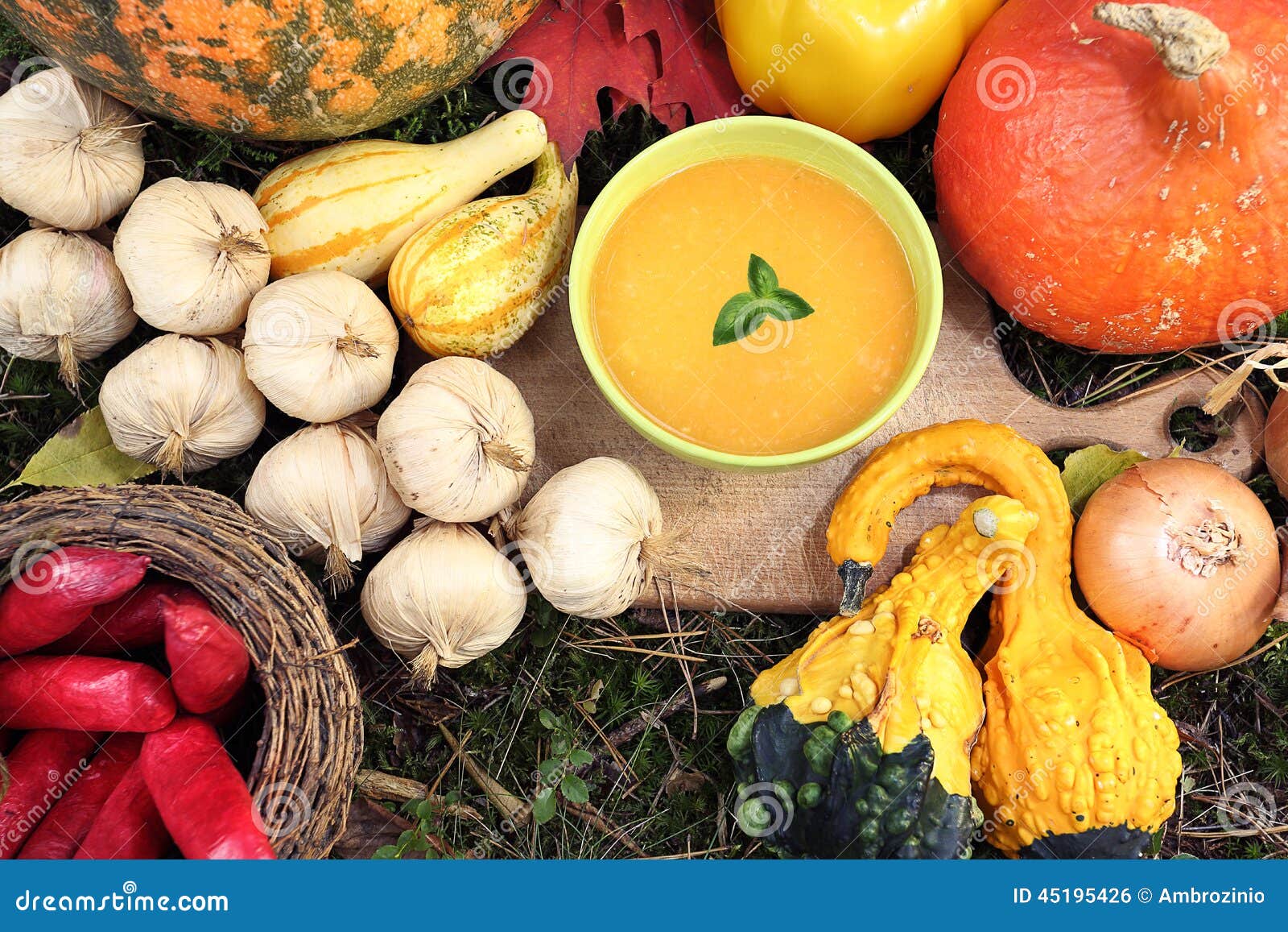 Autumn cooking stock photo. Image of spices, garlic, soup - 45195426