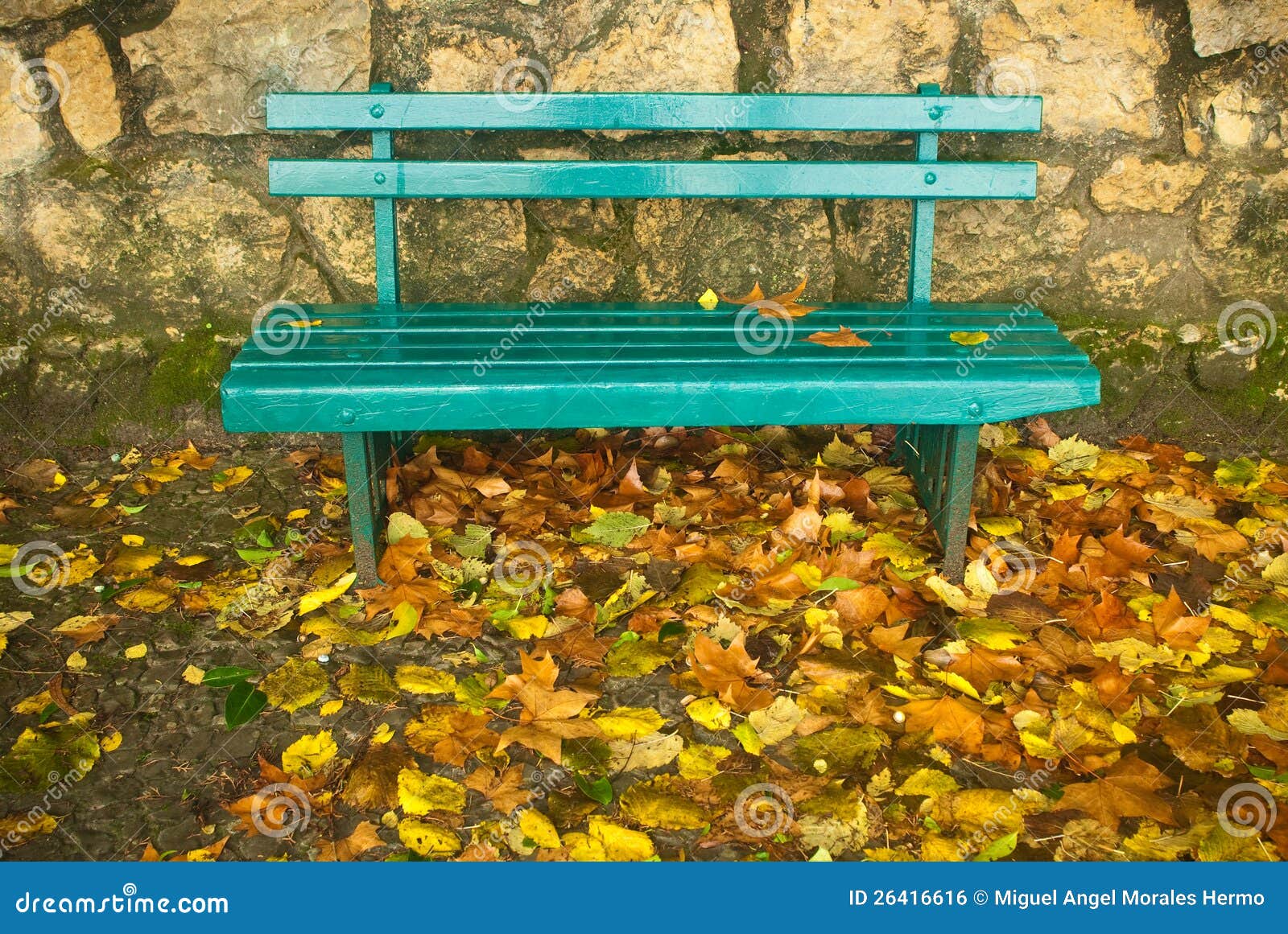 Autumn Corner stock photo. Image of autumn, nature, autumnal - 26416616