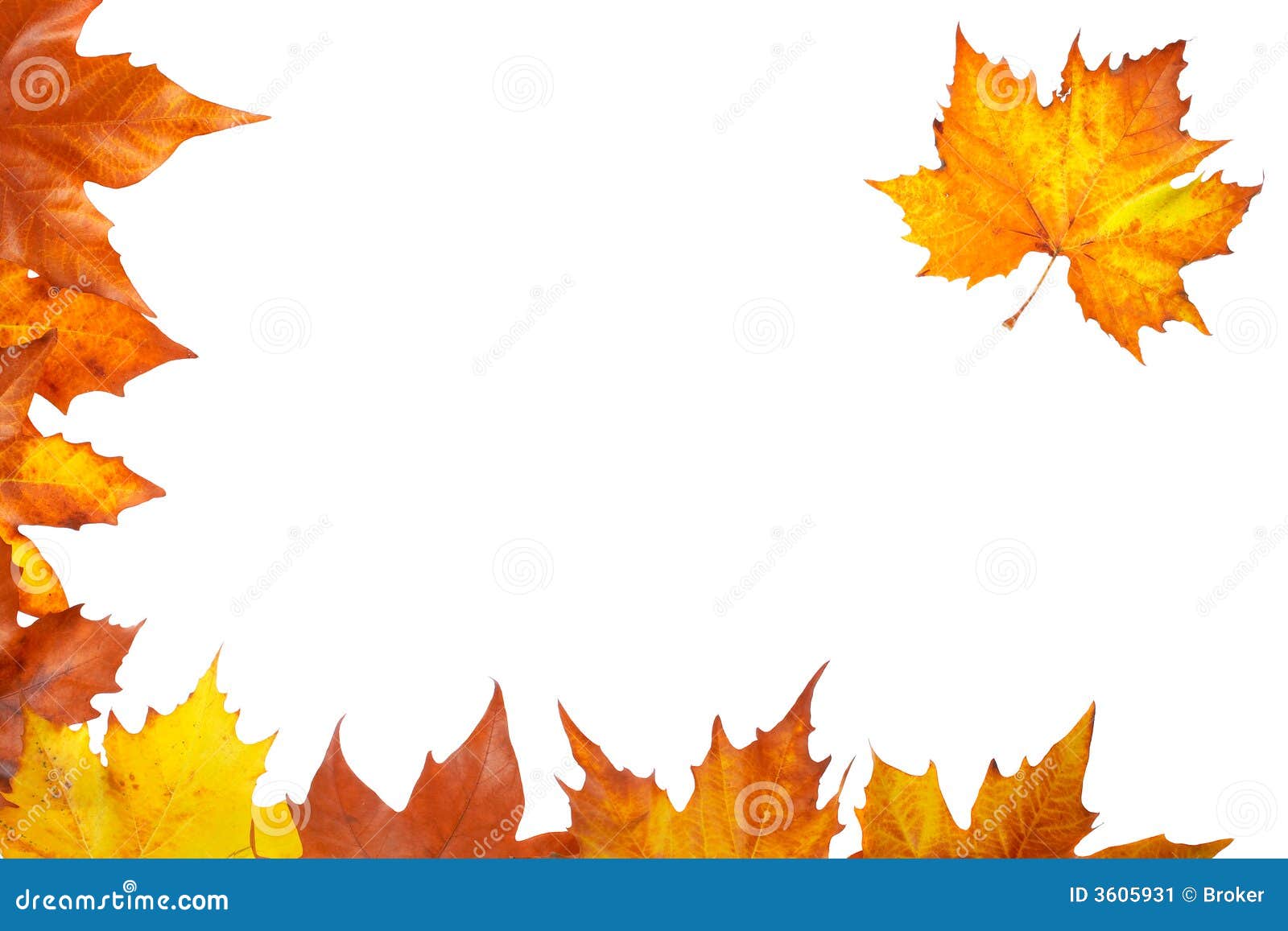 Autumn corner stock image. Image of decor, leafy, autumn - 3605931
