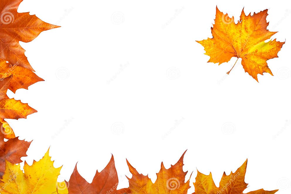 Autumn corner stock image. Image of decor, leafy, autumn - 3605931