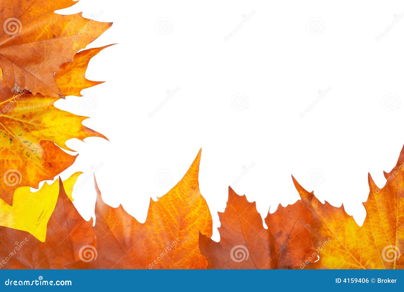 Autumn corner stock photo. Image of leaf, autumnal, fall - 4159406