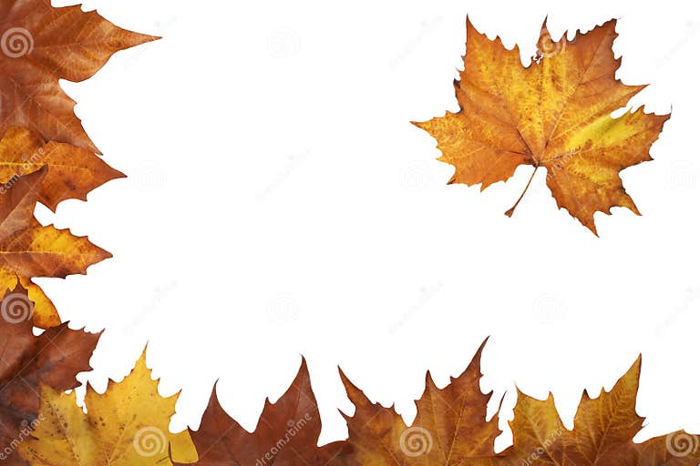 Autumn corner stock image. Image of leafy, leaves, arrangement - 6256835