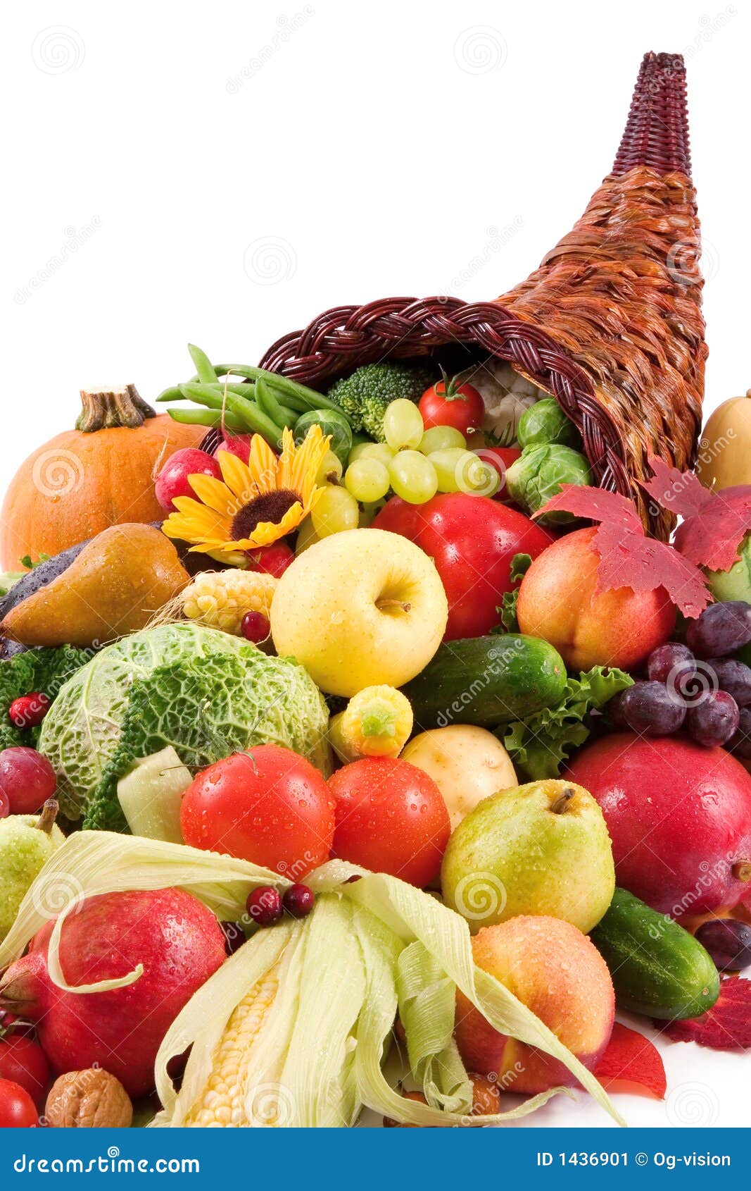 Autumn Cornucopia stock image. Image of pear, fruit, cranberry - 1436901