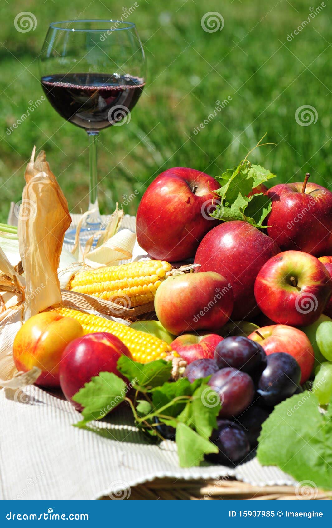 Autumn cornucopia stock image. Image of feast, colorful - 15907985