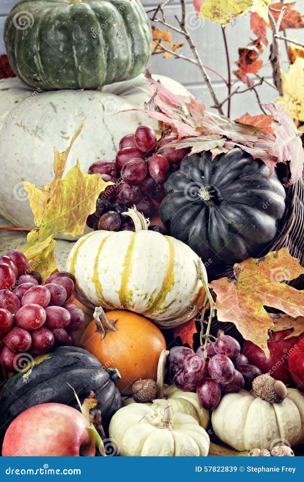 Autumn Cornucopia stock image. Image of crop, decorations - 57822839