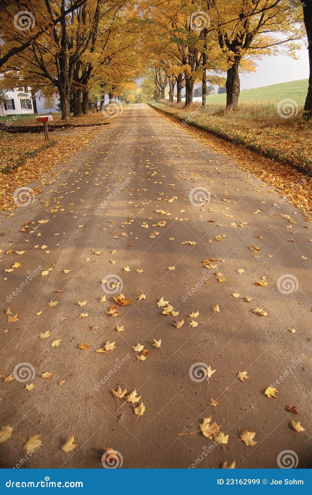 Autumn country road stock image. Image of country, leaves - 23162999