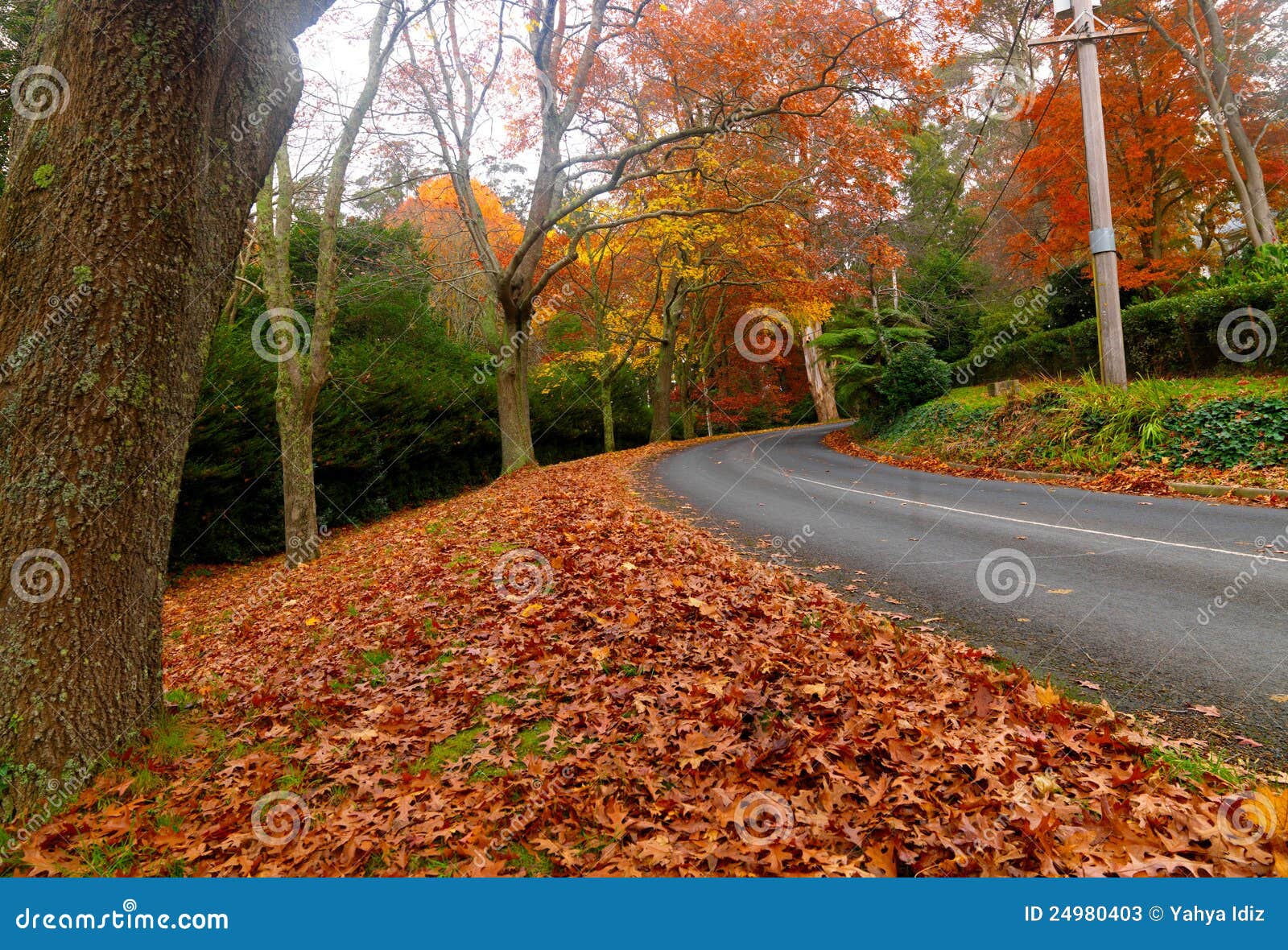 Autumn on the country road stock image. Image of horizontal - 24980403