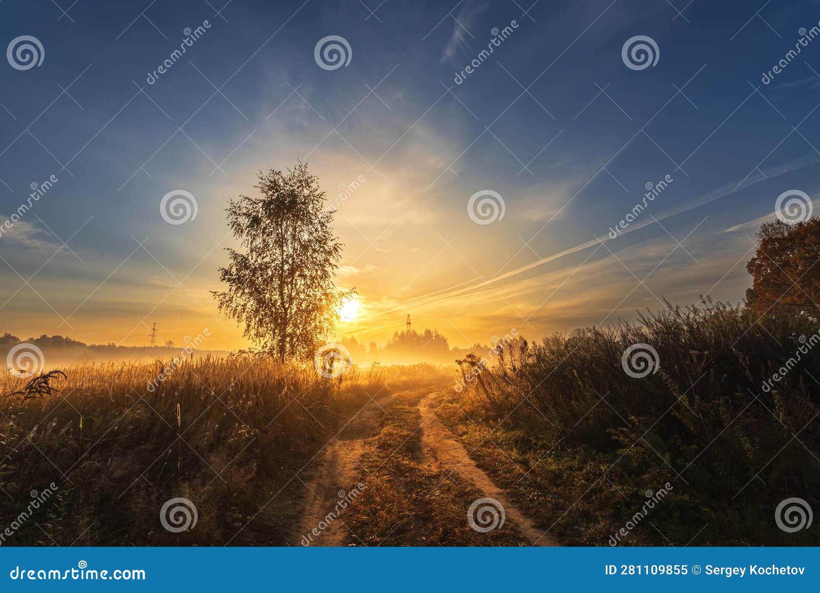 Autumn Country Road at Sunrise with Sunlight Stock Image - Image of ...