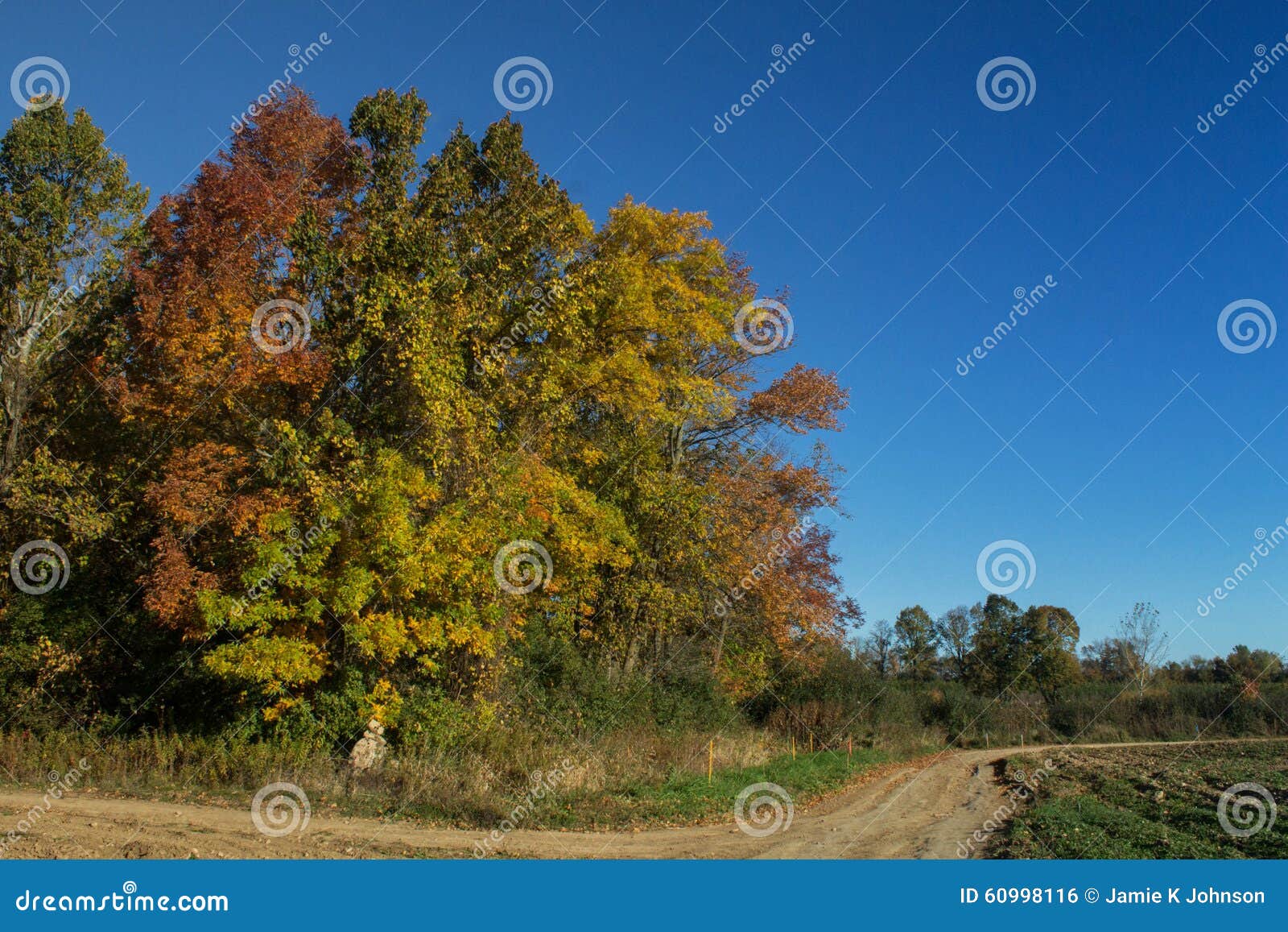 Autumn Country Scene in the Midwest Stock Photo - Image of countryside ...