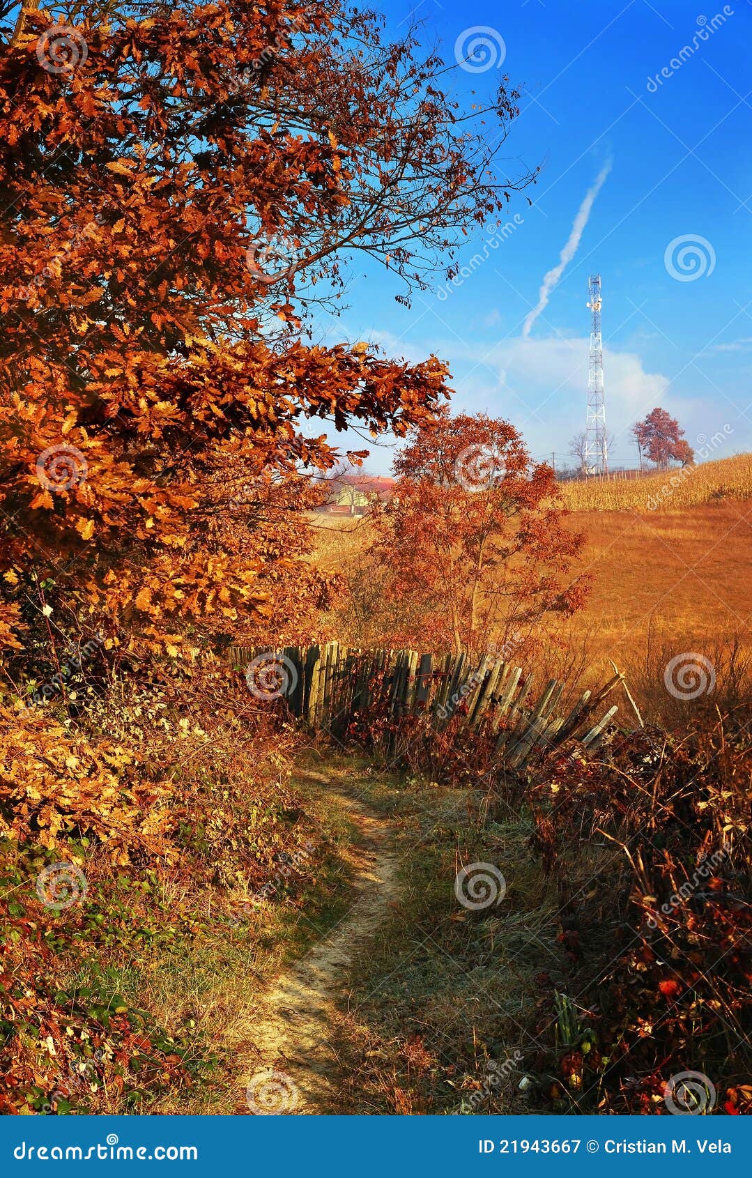 Autumn countryside stock image. Image of yellow, autumnal - 21943667