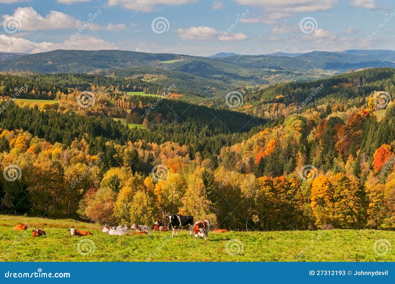 Autumn Countryside stock image. Image of countryside - 27312193
