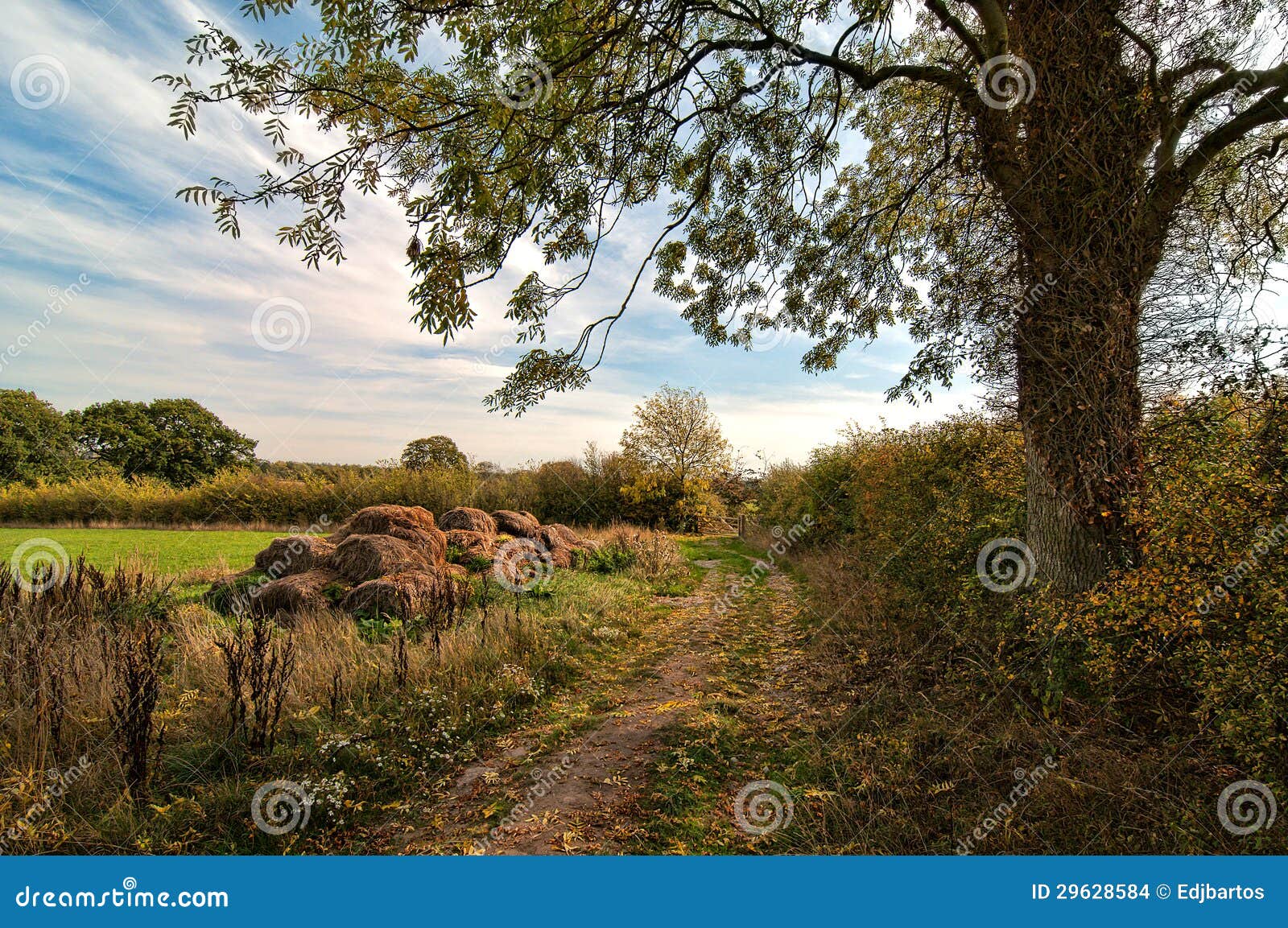 Autumn Countryside stock photo. Image of fall, autumnal - 29628584
