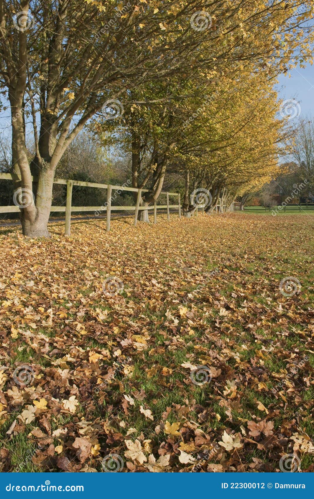 Autumn countryside colours stock photo. Image of colorful - 22300012