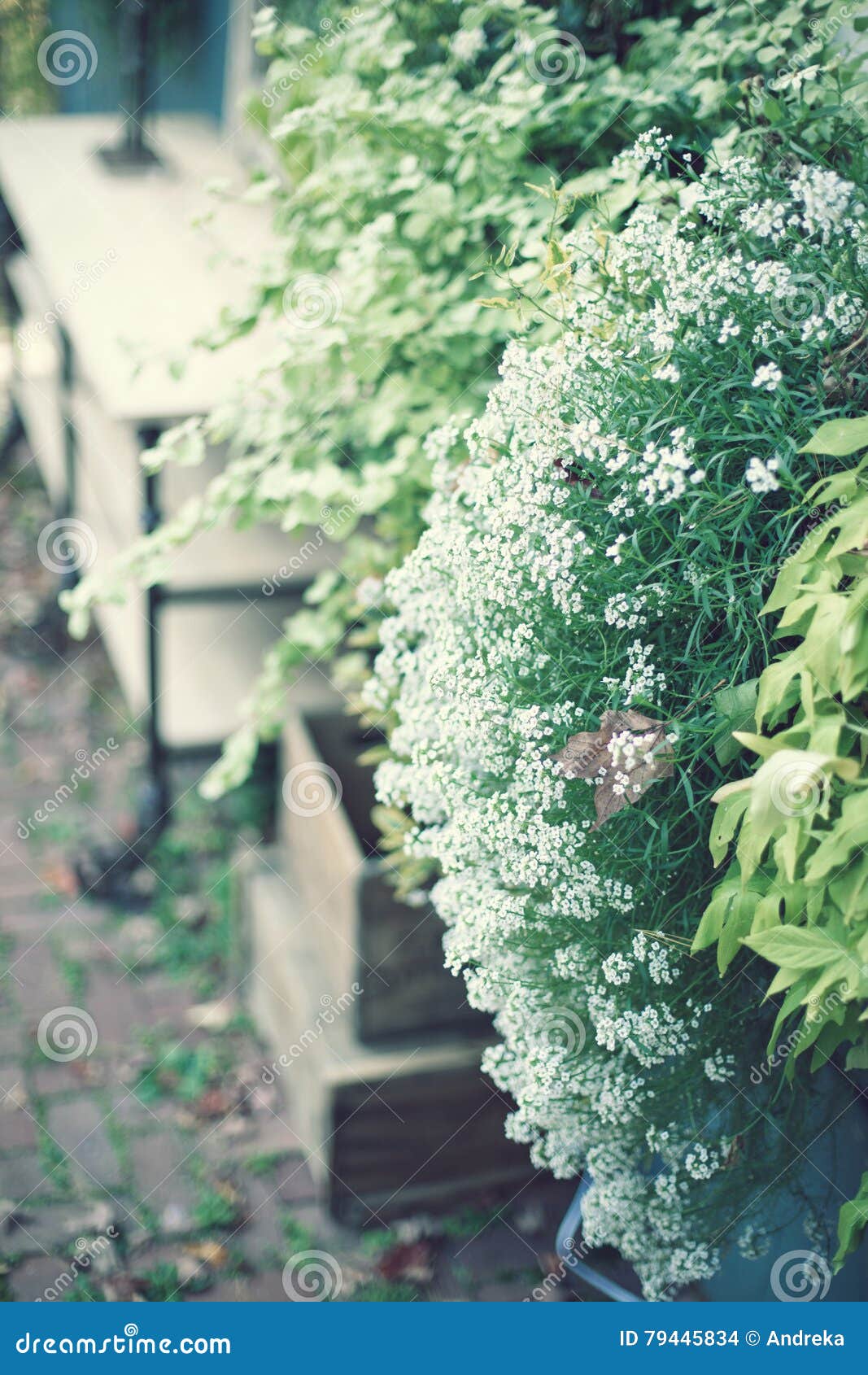 Autumn courtyard stock photo. Image of design, aged, artwork - 79445834