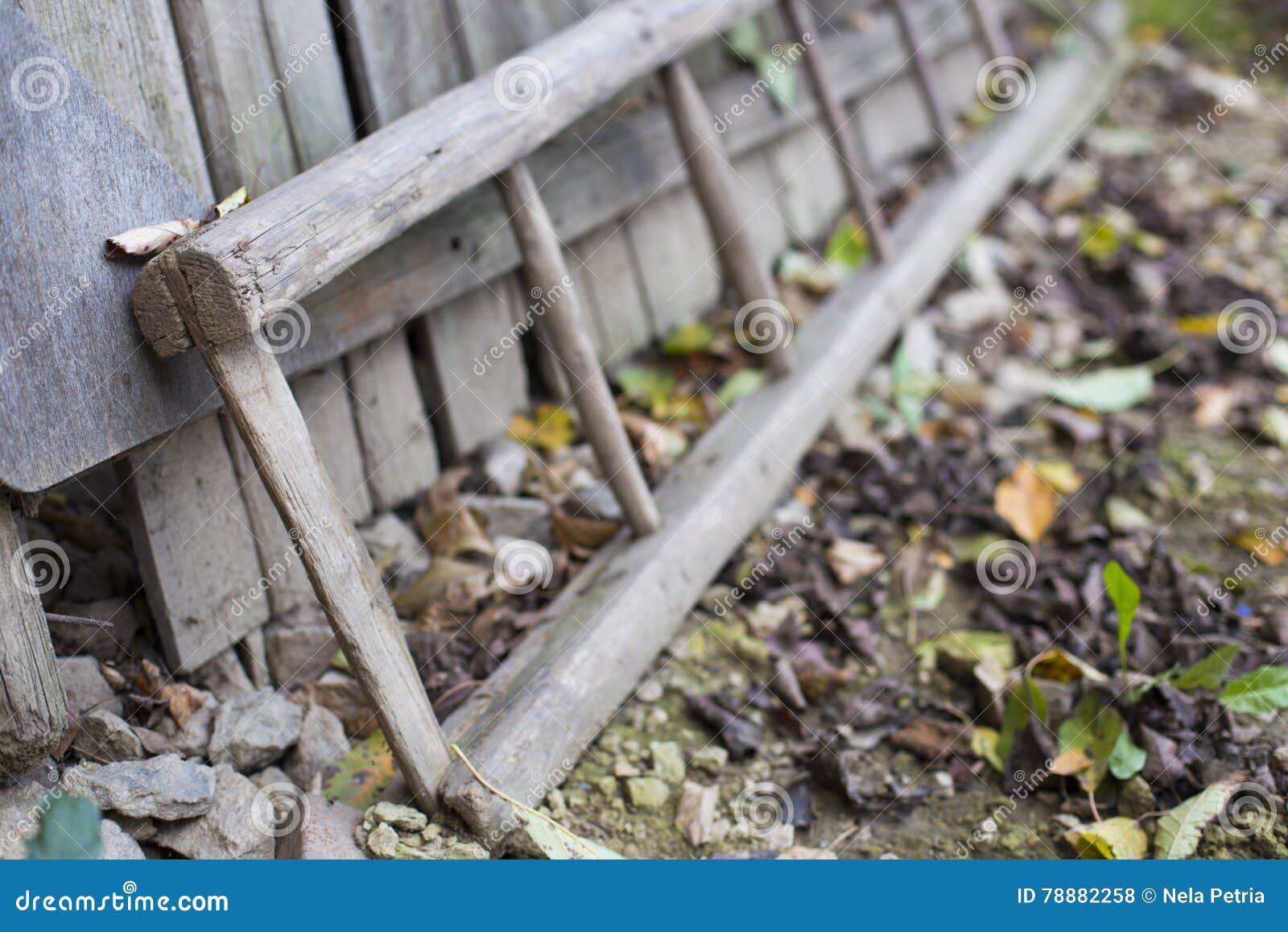 Autumn courtyard house stock photo. Image of bush, reserve - 78882258