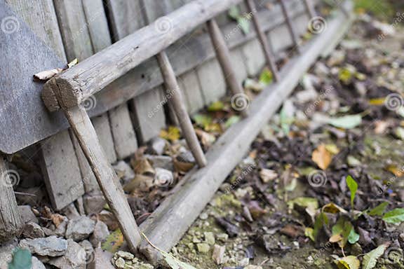 Autumn courtyard house stock photo. Image of bush, reserve - 78882258