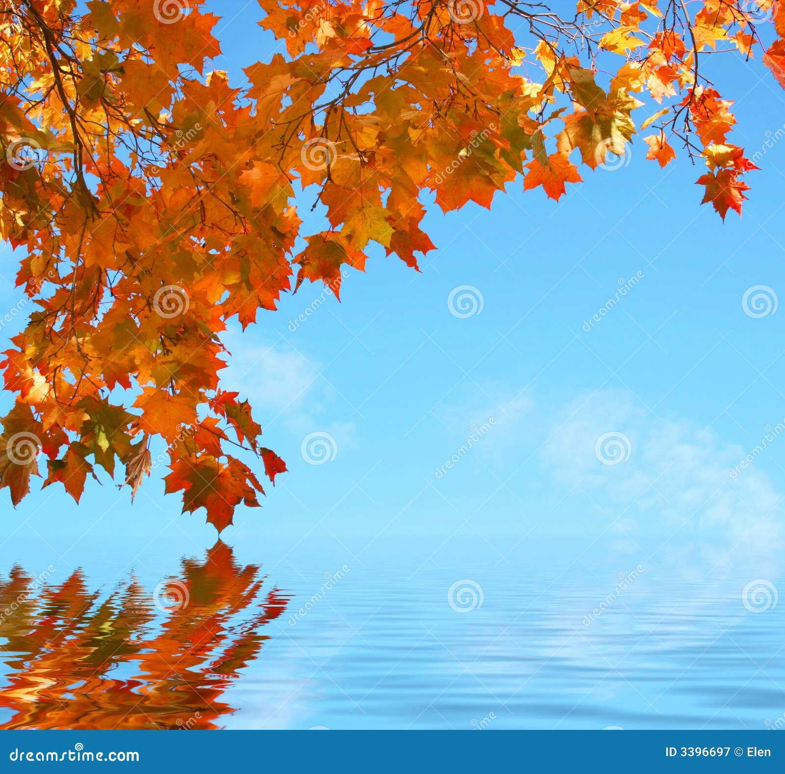 Autumn cover stock image. Image of autumnal, season, flora - 3396697