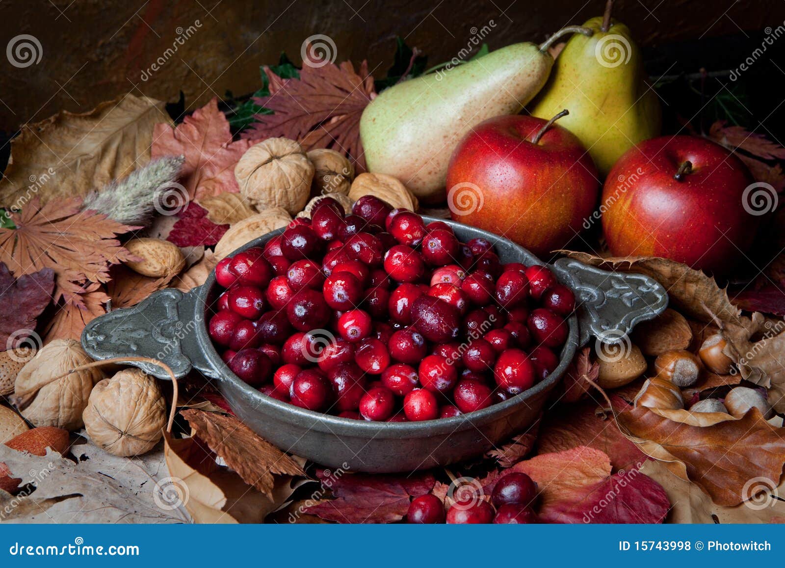 Autumn Cranberries and Nuts Stock Photo - Image of holiday, gourmet ...