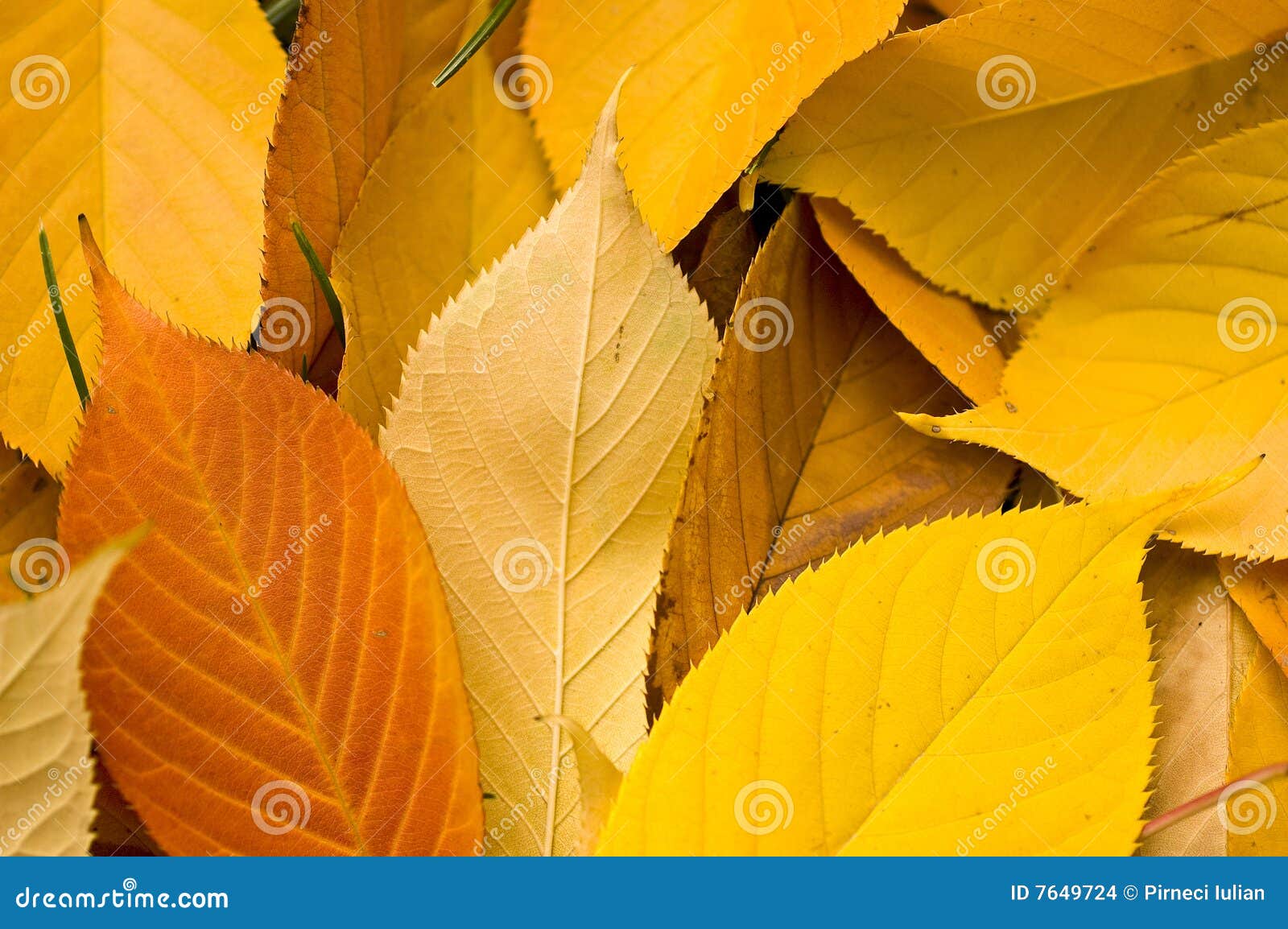 Autumn in crayon stock illustration. Illustration of pastel - 7649724