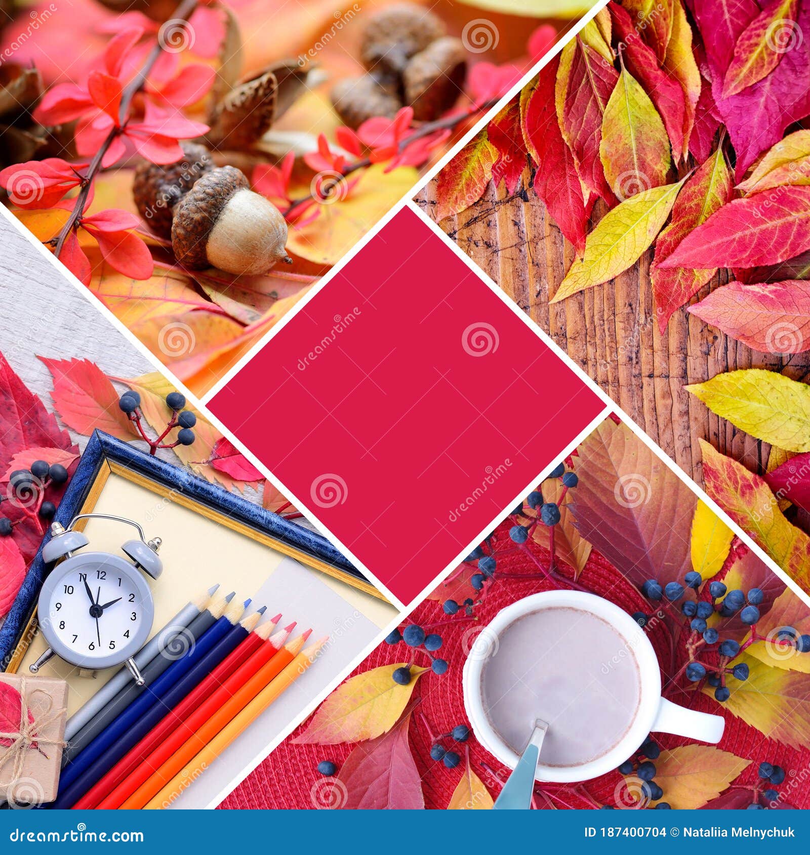 Collage With Main Types Of Optical Fiber Connector Stock Image ...