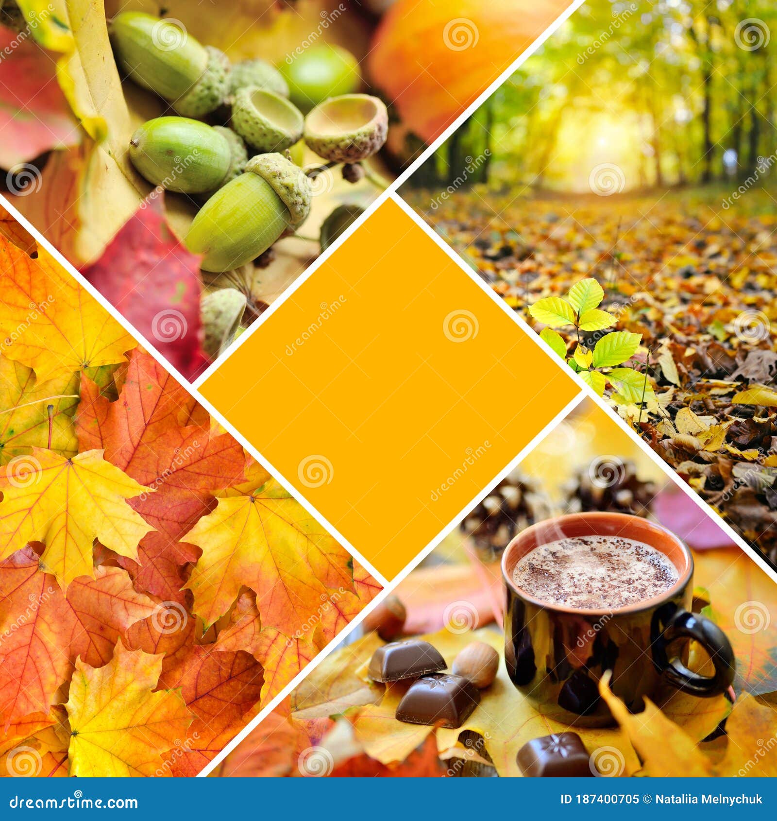 Collage With Main Types Of Optical Fiber Connector Stock Image ...