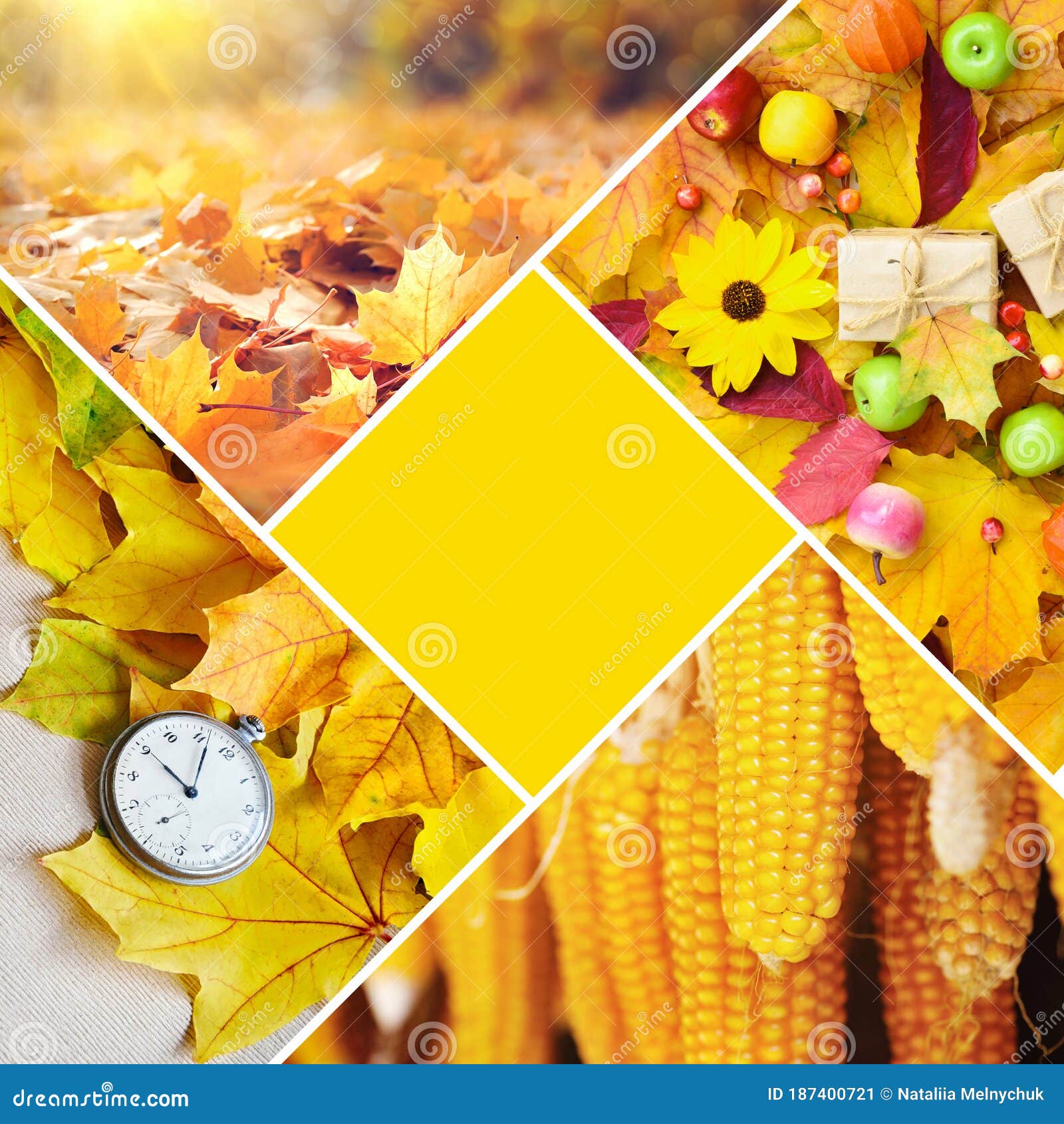 Collage With Main Types Of Optical Fiber Connector Stock Image ...