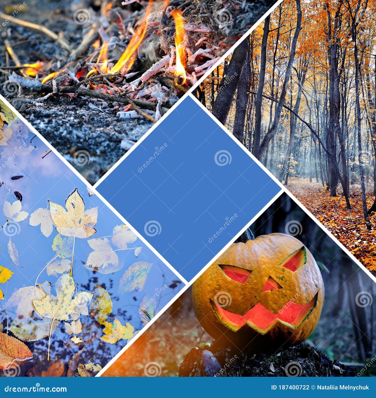 Collage With Main Types Of Optical Fiber Connector Stock Image ...