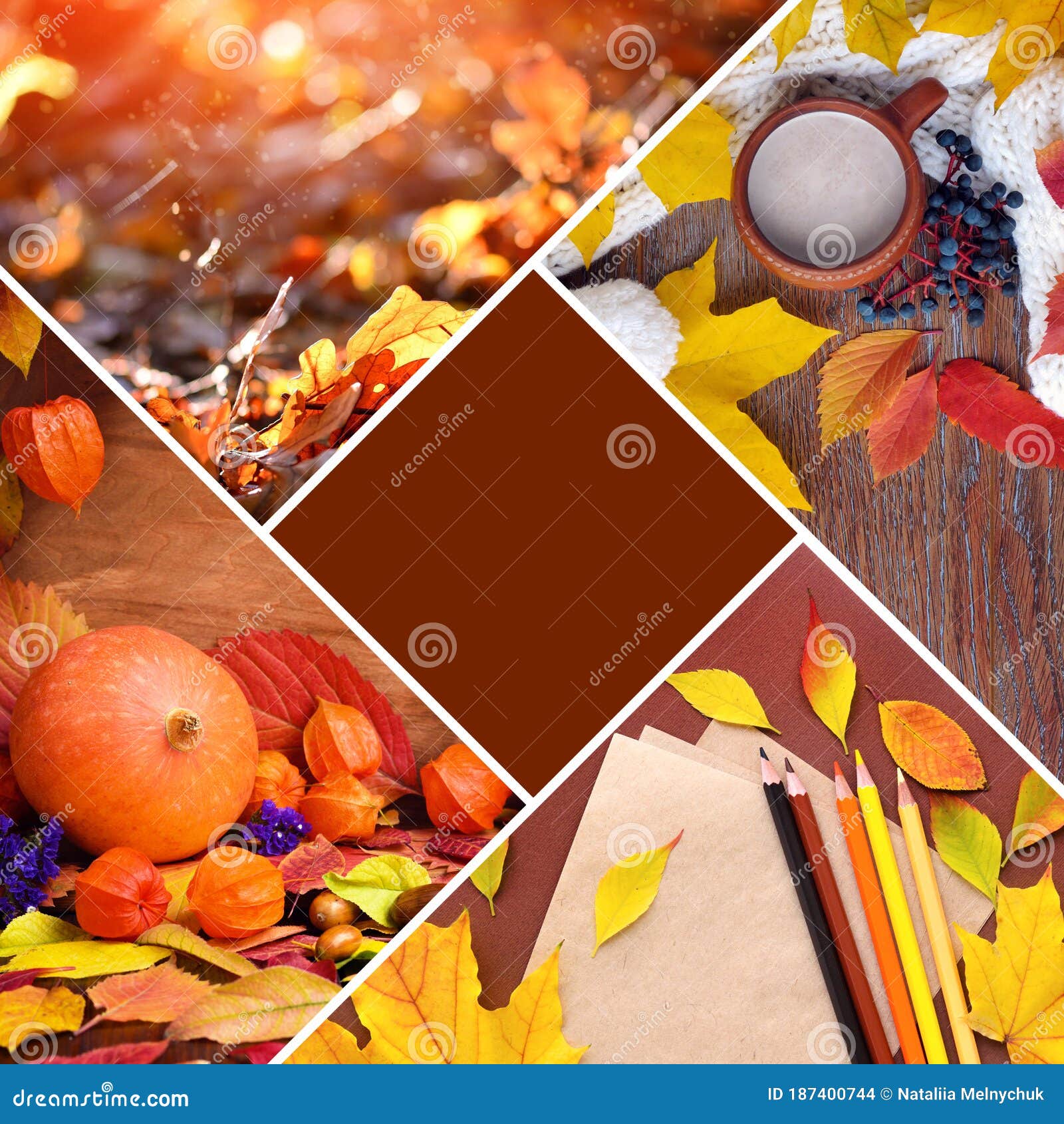 Collage With Main Types Of Optical Fiber Connector Stock Image ...