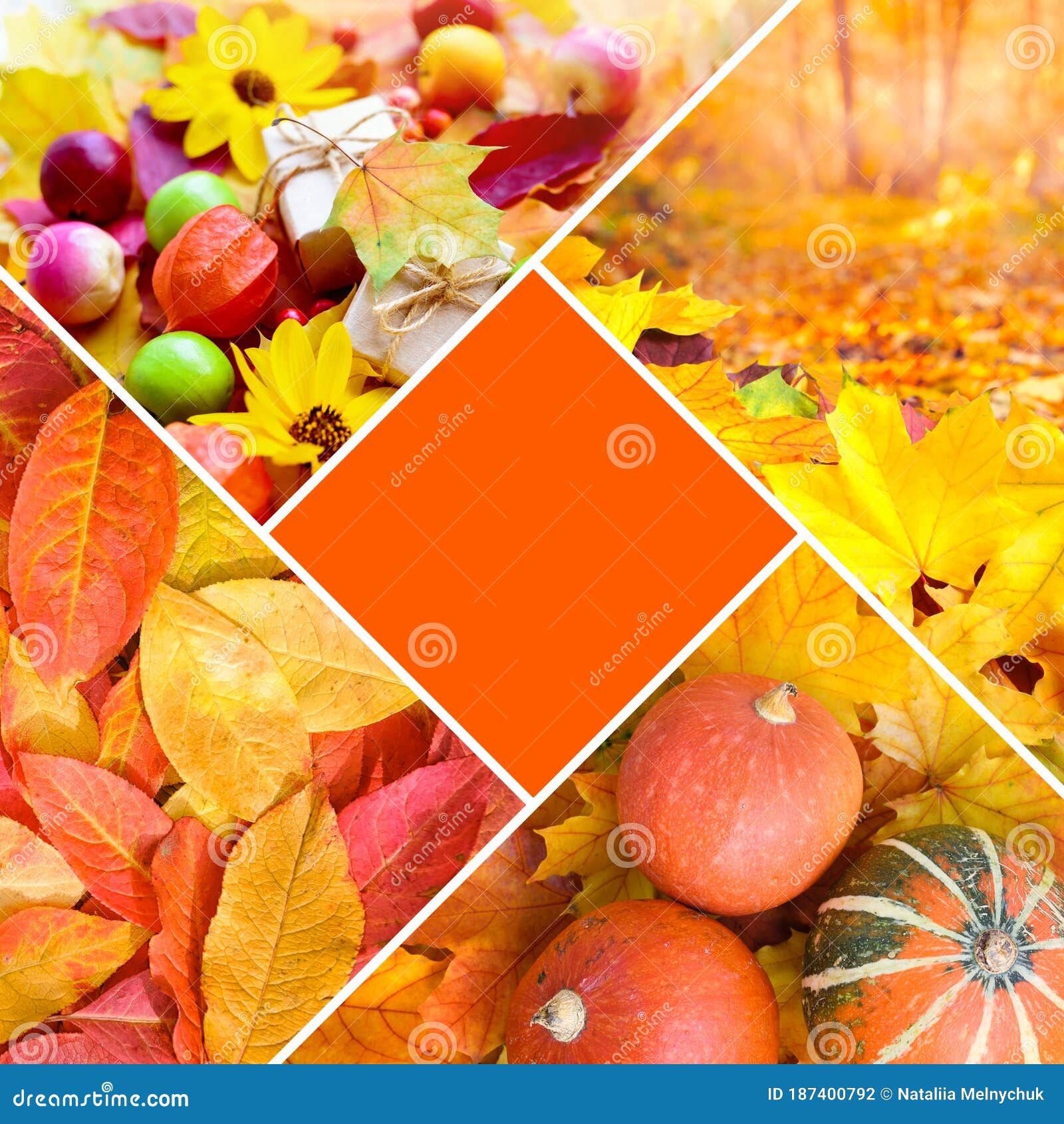 Collage With Main Types Of Optical Fiber Connector Stock Image ...