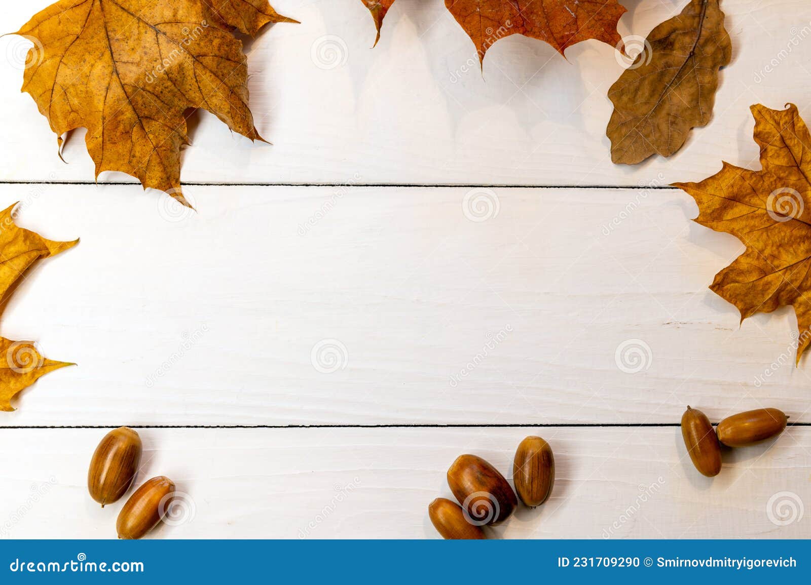 Autumn, Autumn Creative Composition of Autumn Leaves. Stock Photo ...