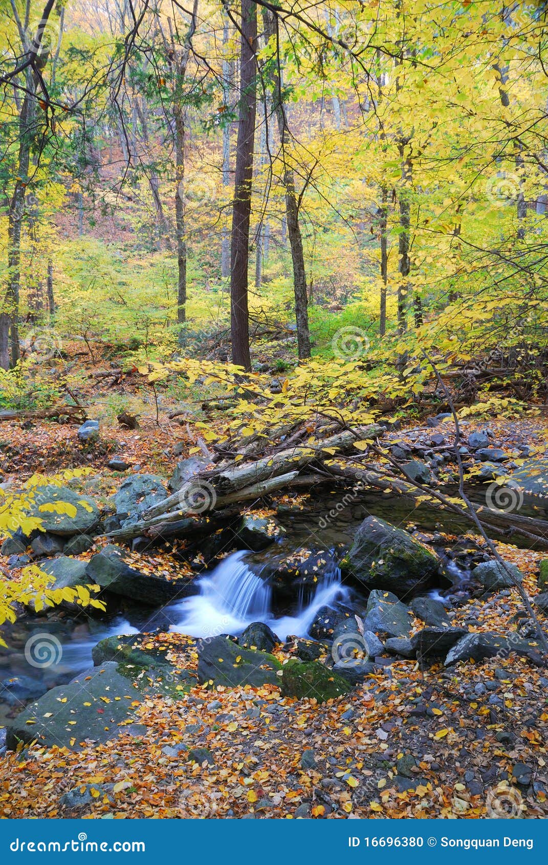 Autumn creek stock photo. Image of river, delaware, autumn - 16696380
