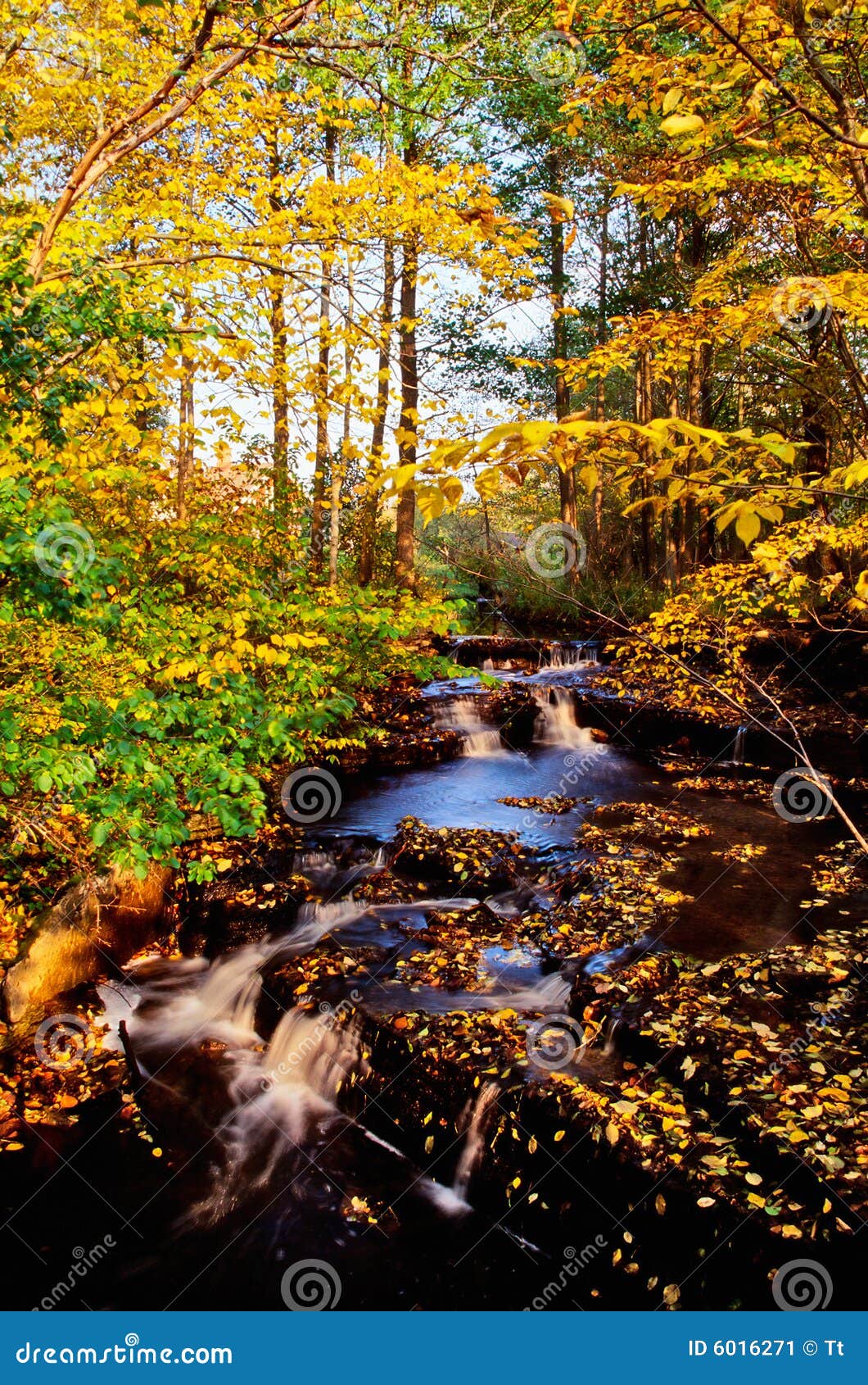 Autumn creek stock image. Image of falls, forest, idyllic - 6016271