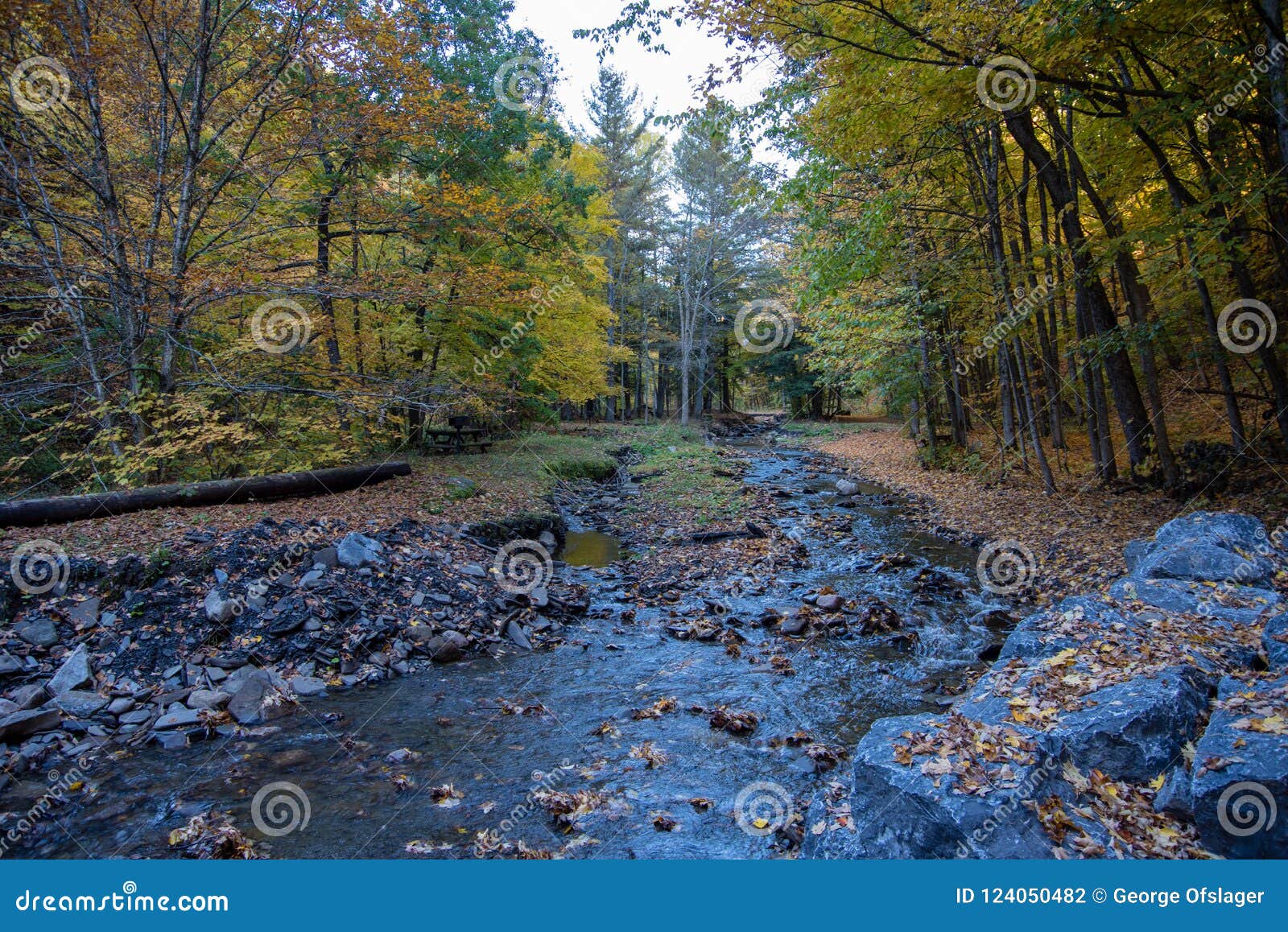 Autumn Creek in Whetstone Gulf State Park Stock Photo - Image of forest ...