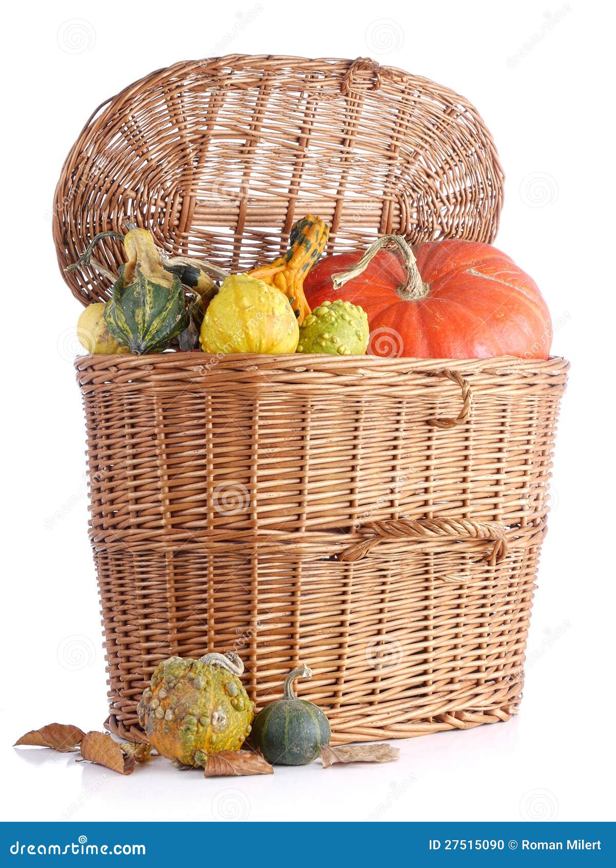 Autumn crops stock photo. Image of wicker, leaf, orange - 27515090