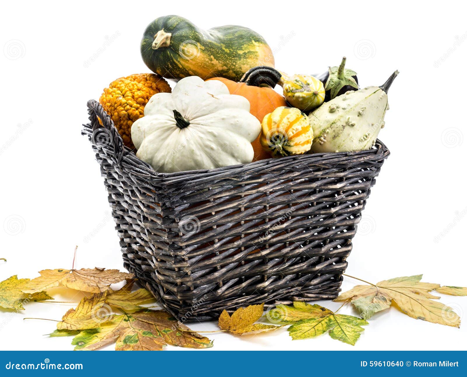 Autumn crops stock photo. Image of season, horticulture - 59610640