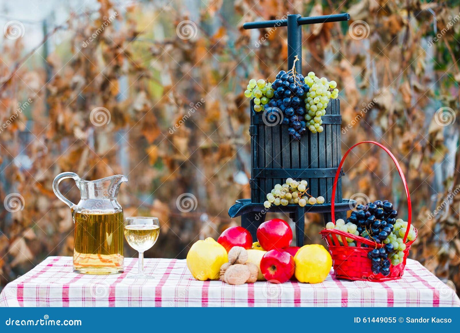 Autumn crops and wine stock image. Image of apple, food - 61449055