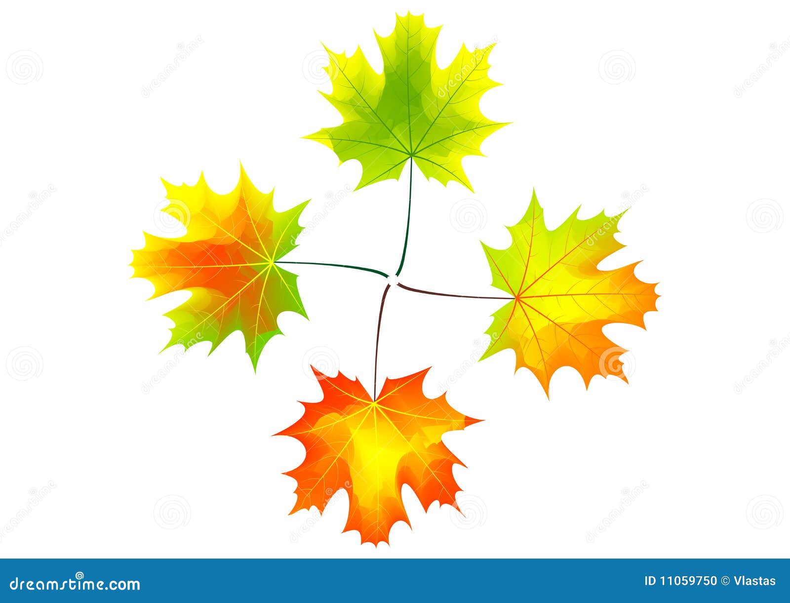 Autumn cross stock vector. Illustration of maple, decorative - 11059750