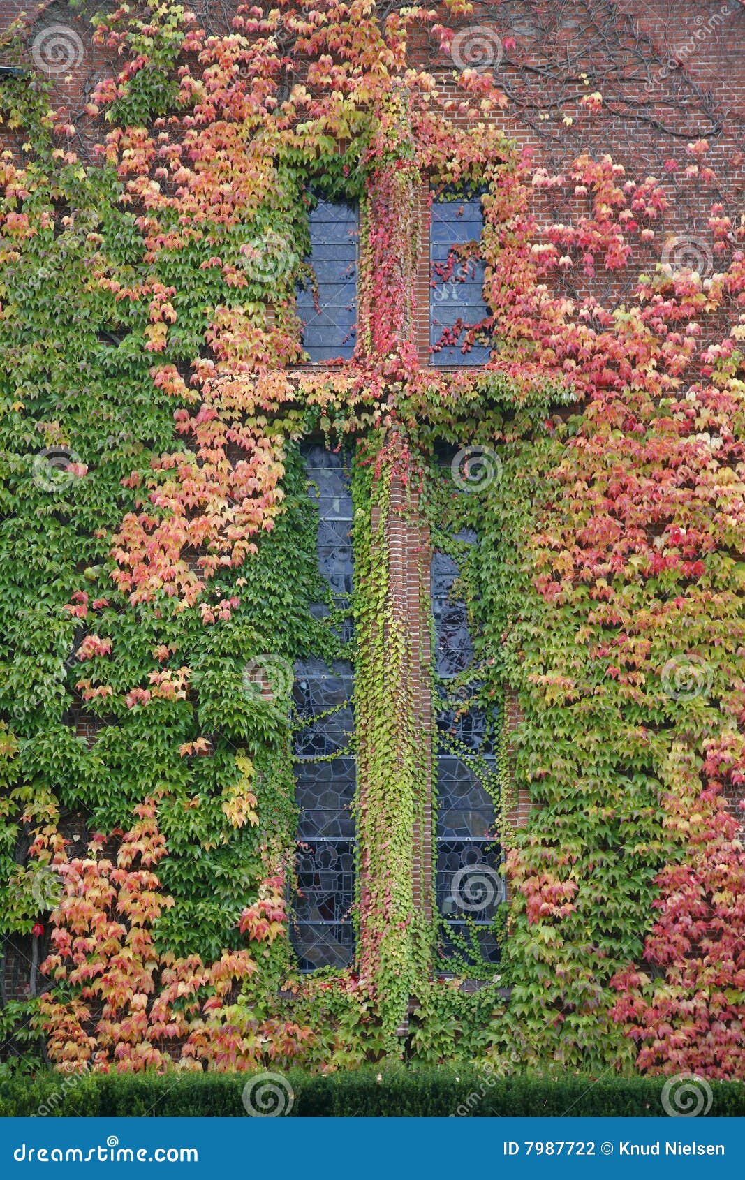 Autumn cross stock photo. Image of christianity, leaf - 7987722
