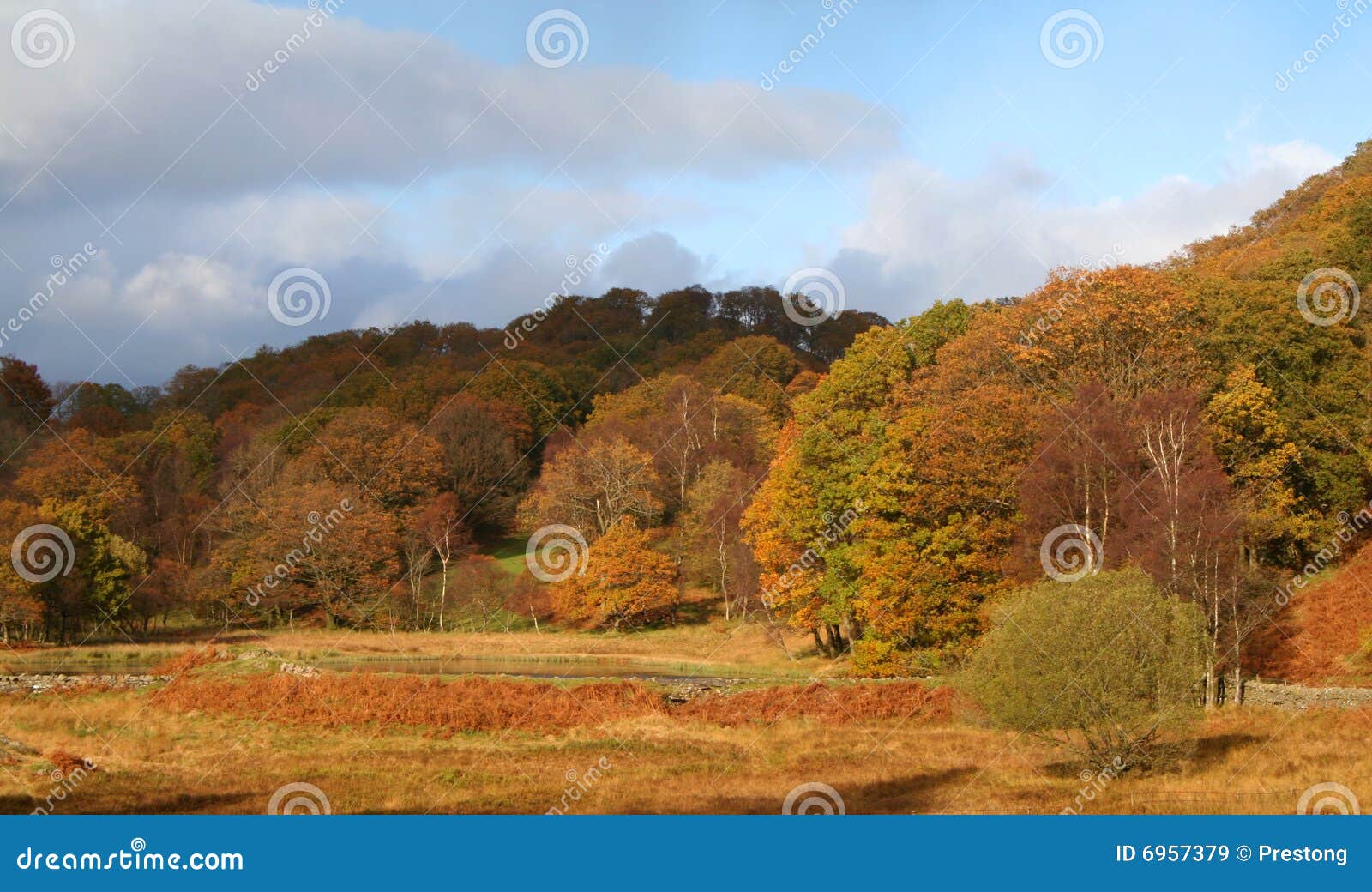 Autumn in Cumbria. stock image. Image of countryside, peace - 6957379