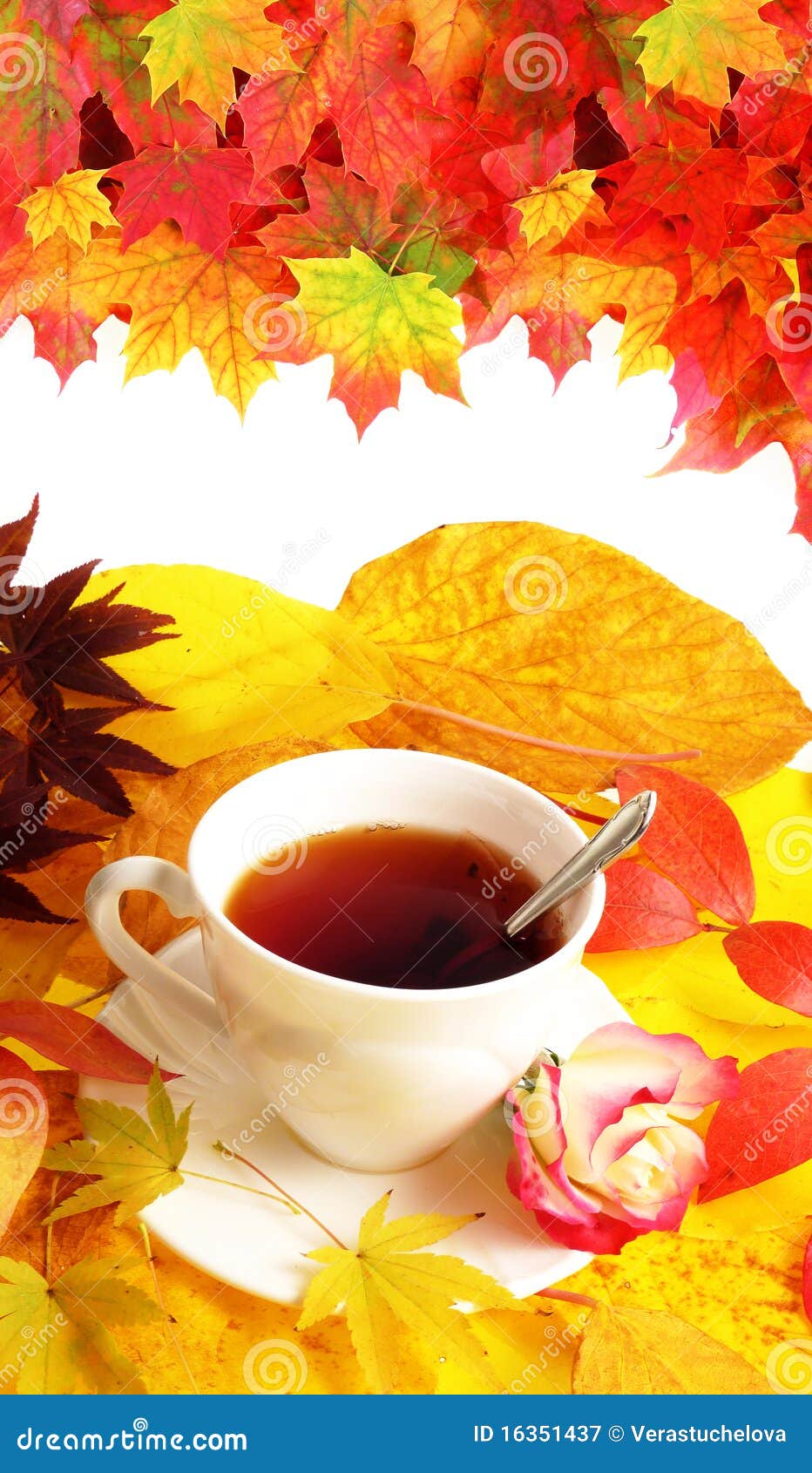 Autumn cup of tea stock image. Image of decoration, black - 16351437