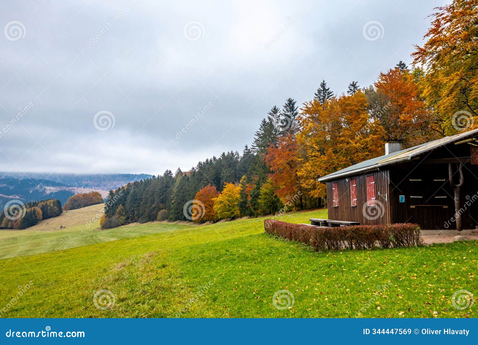 An Autumn Cycle Tour through the Thuringian Forest on the Mommelstein ...