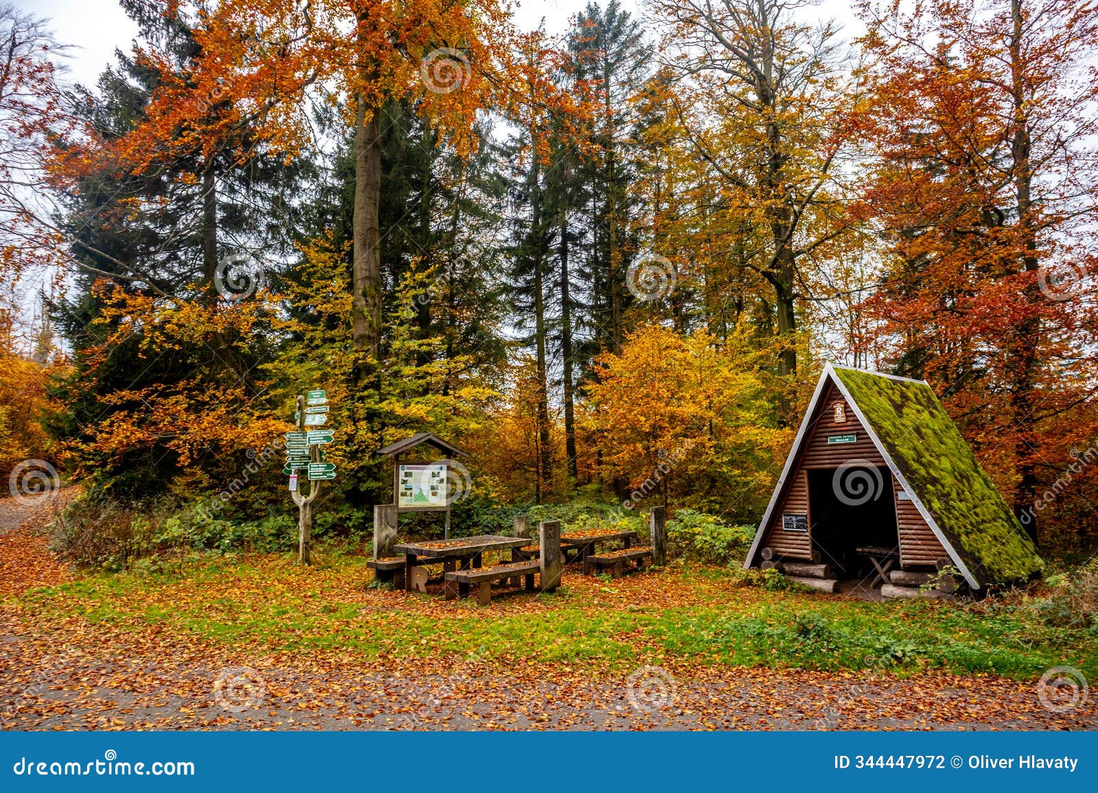 An Autumn Cycle Tour through the Thuringian Forest on the Mommelstein ...