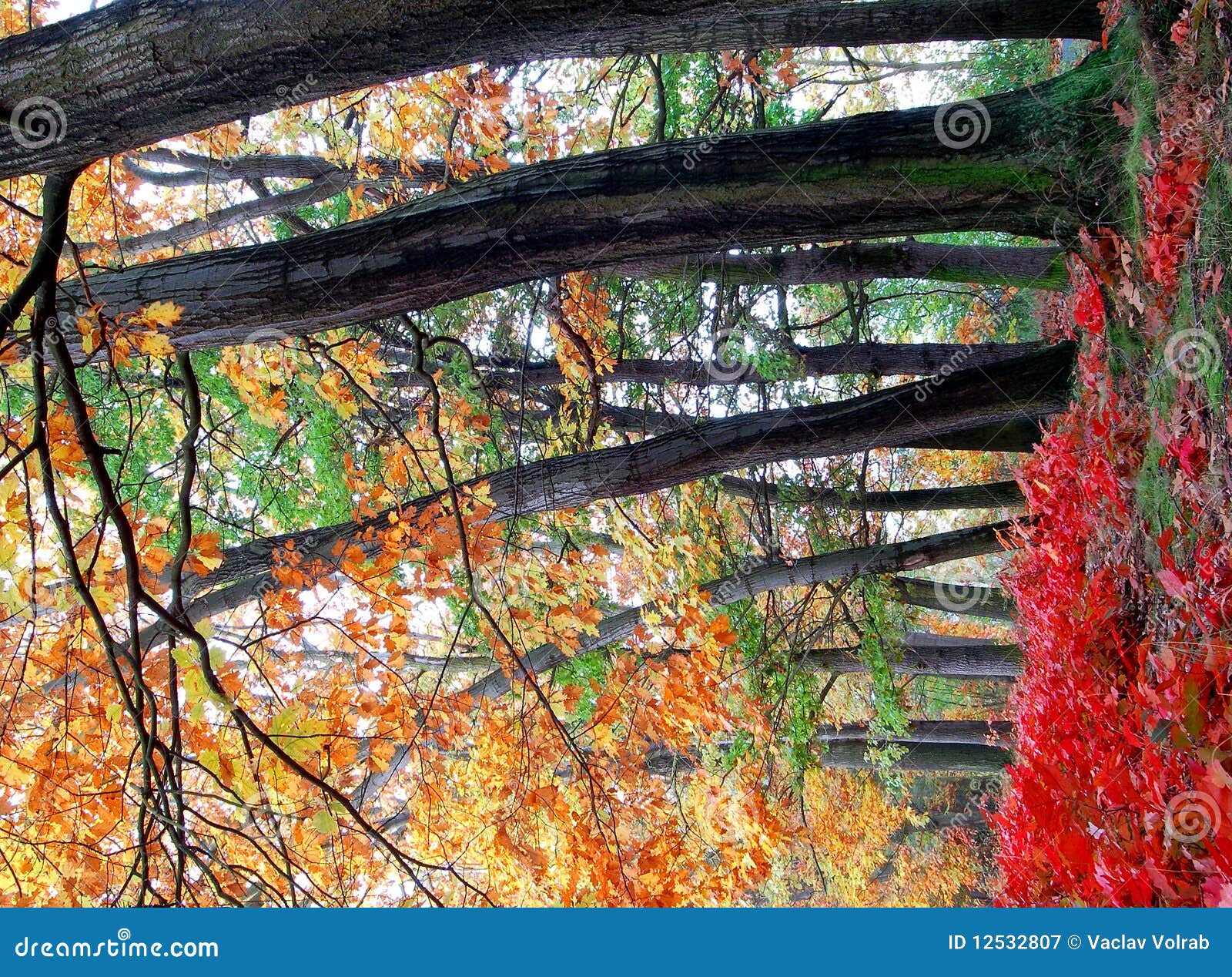 Autumn in Czech Republic stock image. Image of autumnal - 12532807