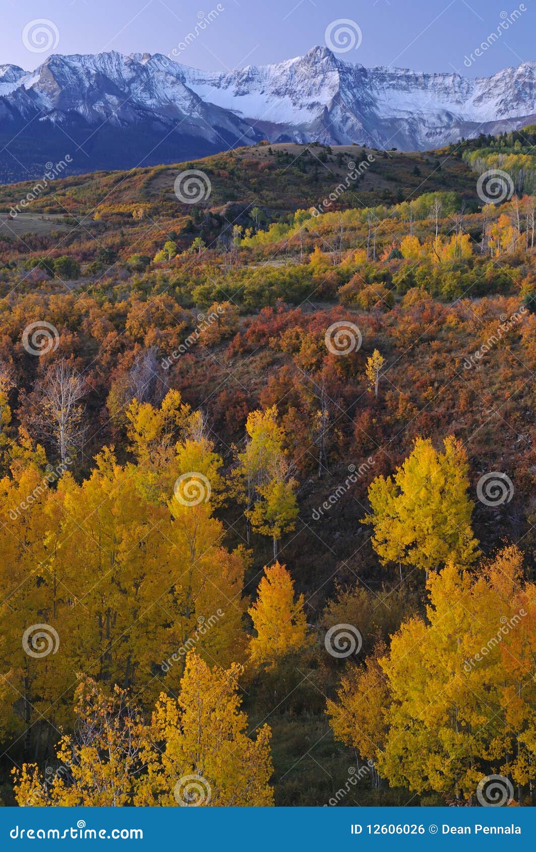 Autumn, Dallas Divide stock photo. Image of nature, juan - 12606026
