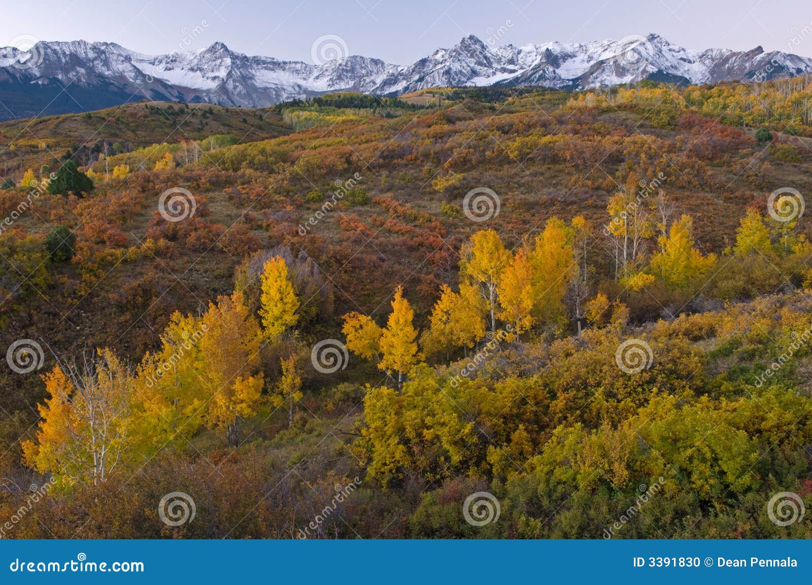 Autumn Dallas Divide Colorado Stock Photo - Image of dallas, divide ...