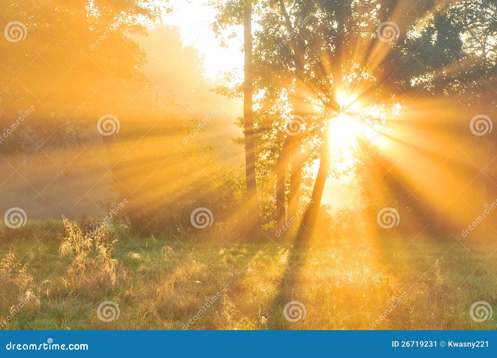 Autumn dawn stock image. Image of country, lush, landscape - 26719231